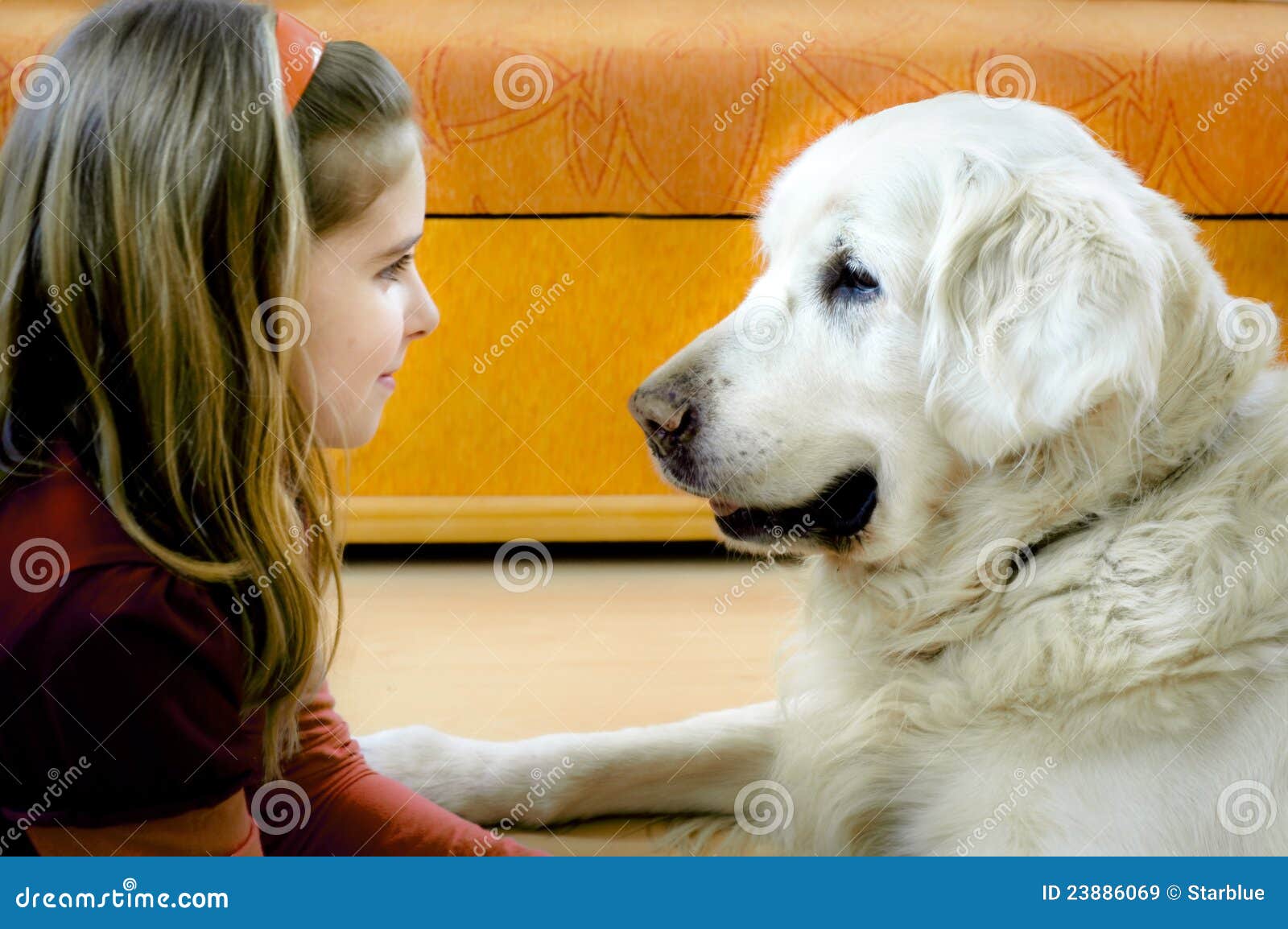 Happy girl and her dog stock image. Image of golden, lying - 23886069