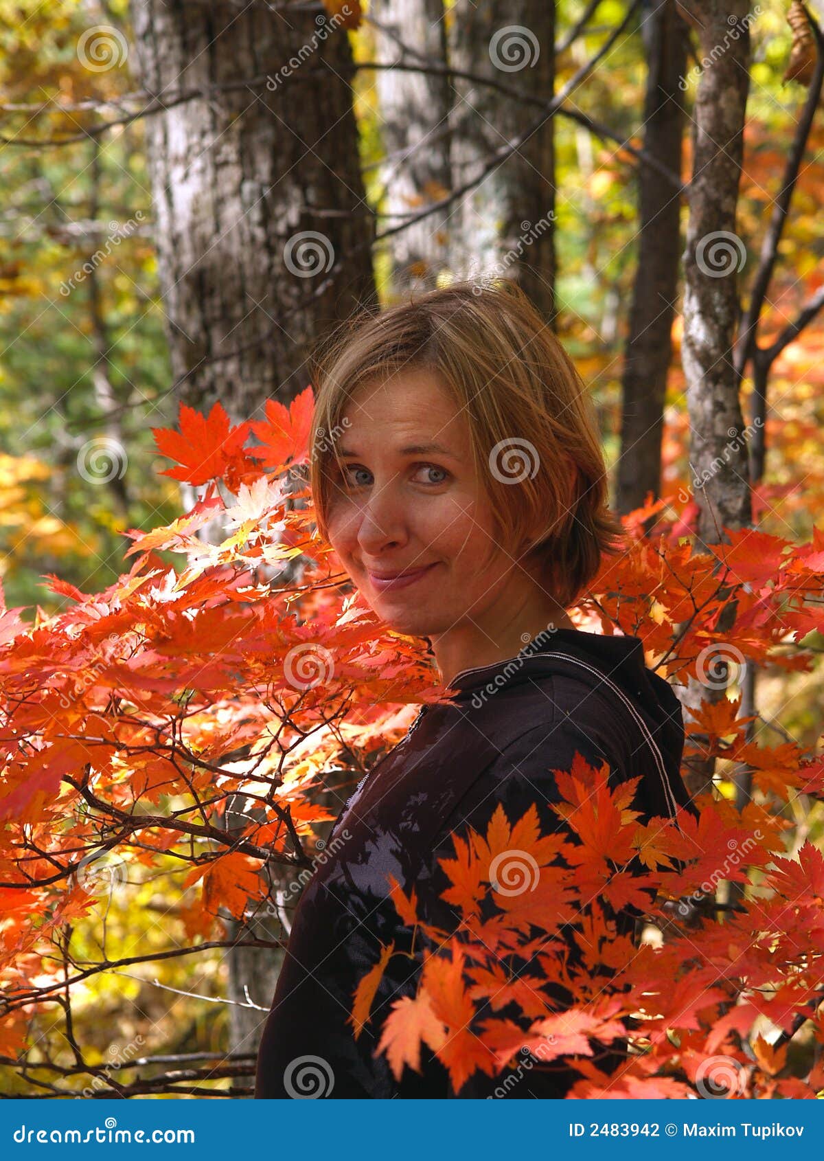 Happy Girl among Maple Leaves Stock Photo - Image of fresh, park: 2483942