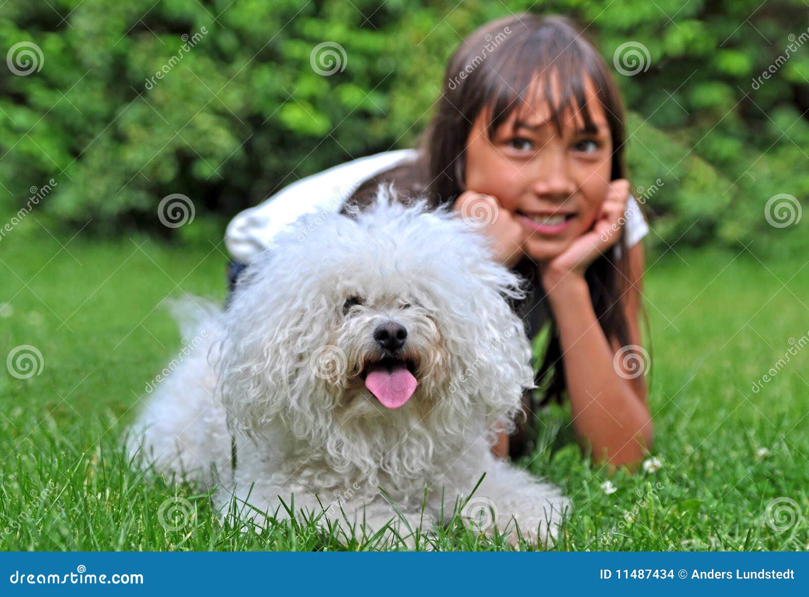 Happy girl with small dog stock photo. Image of happy - 11487434