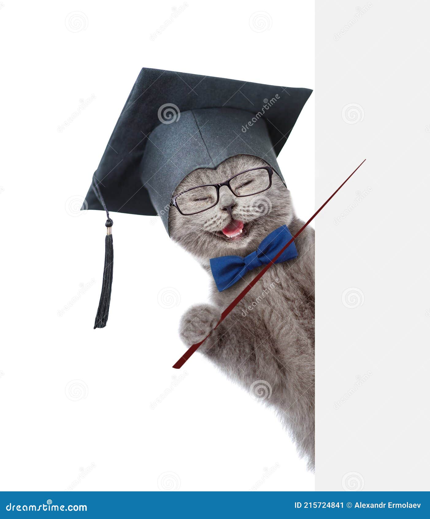 Happy Graduated Cat Holding a Pointing Stick and Points on Empty Banner ...