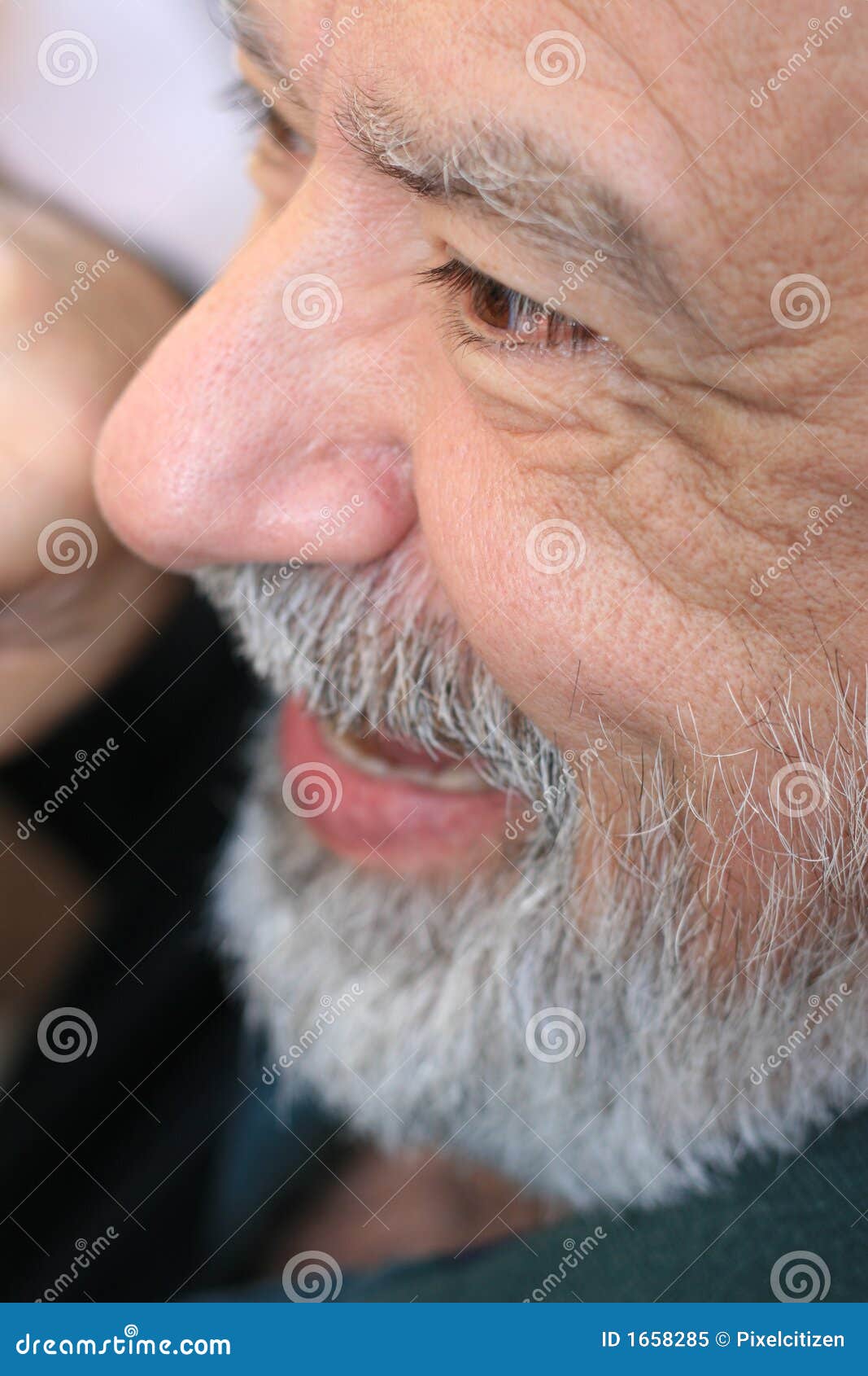 Happy gray stock image. Image of bearded, health, laughing - 1658285