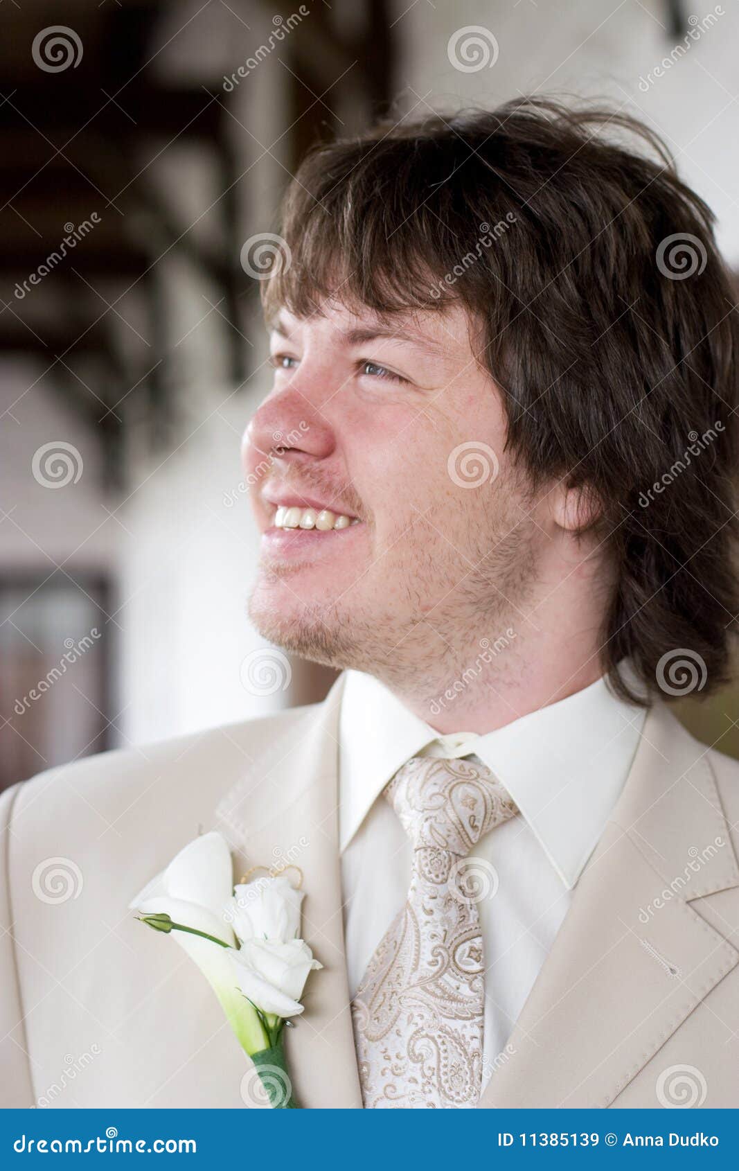 Happy groom stock image. Image of marriage, beauty, face - 11385139