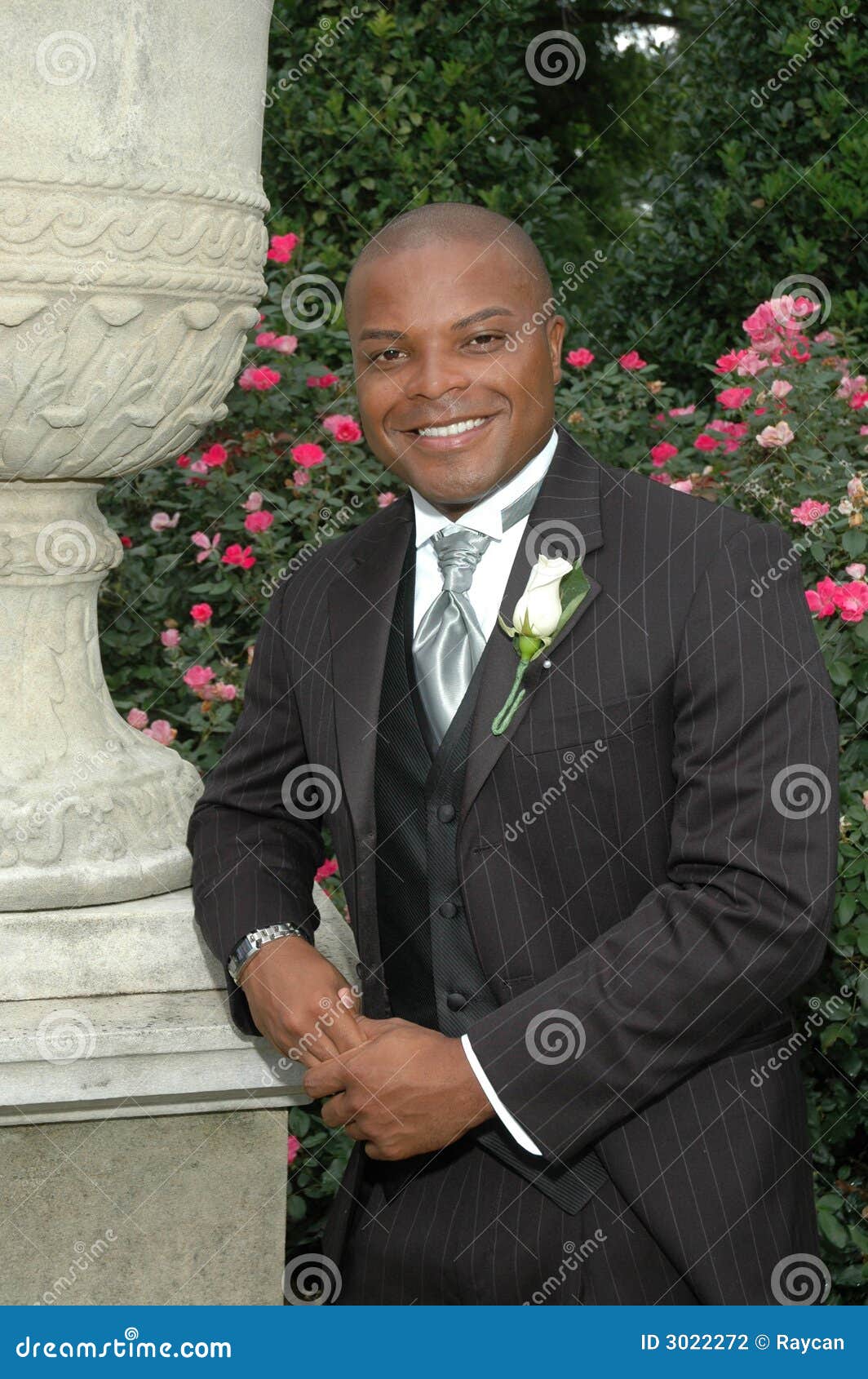 Happy Groom stock photo. Image of husband, pose, african - 3022272