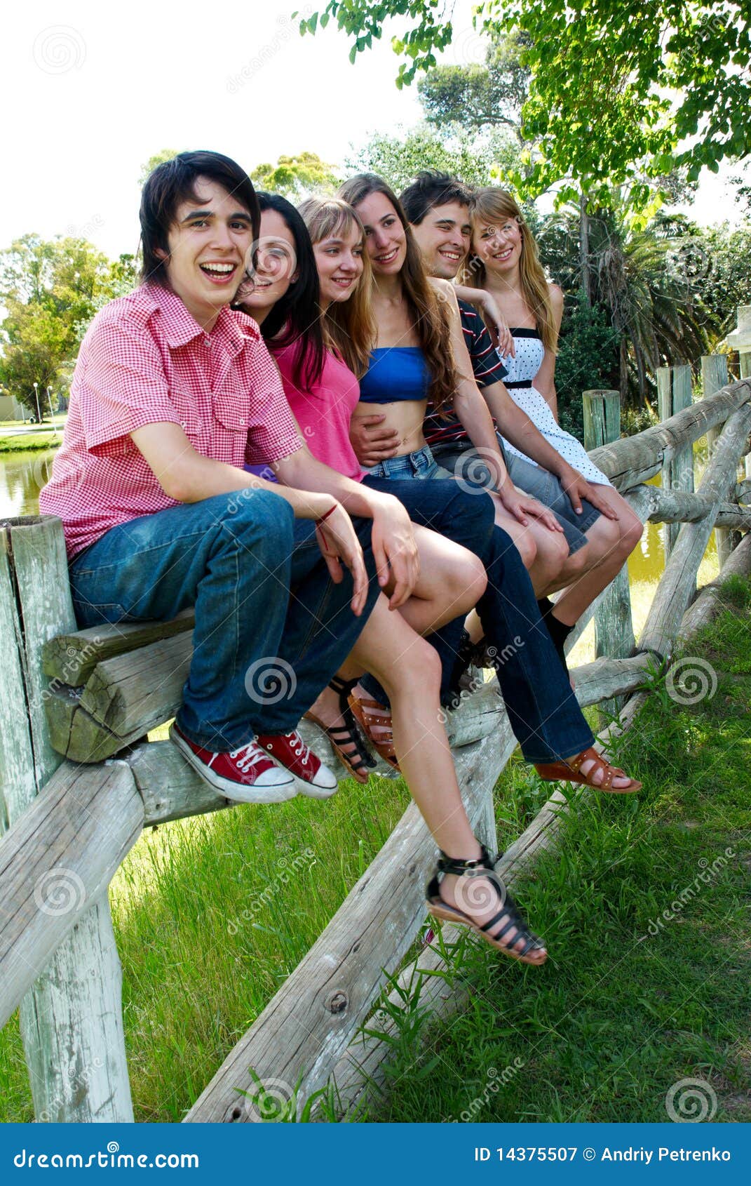 Happy Group of Friends Smiling Stock Image - Image of friends ...