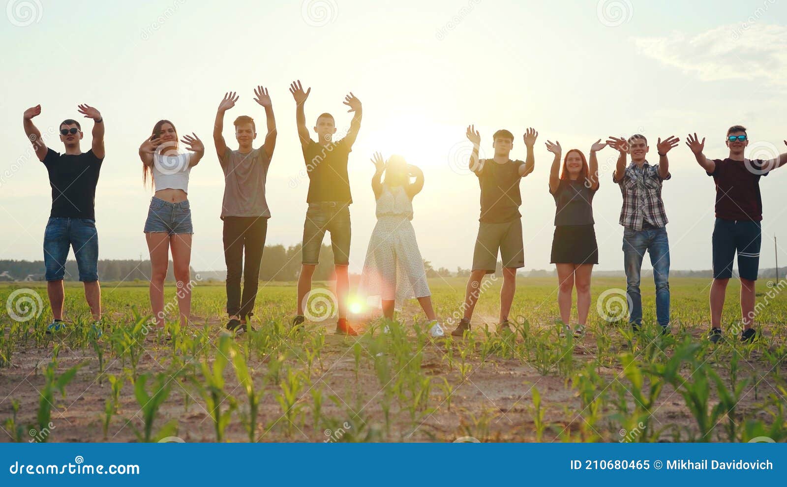Happy Group of Friends at Sunset in the Field. Stock Image - Image of ...