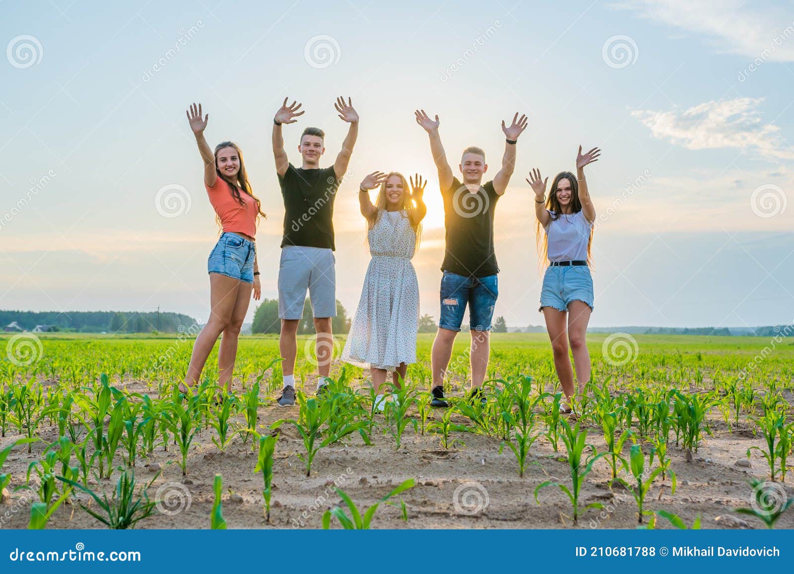 Happy Group of Friends at Sunset in the Field. Stock Photo - Image of ...