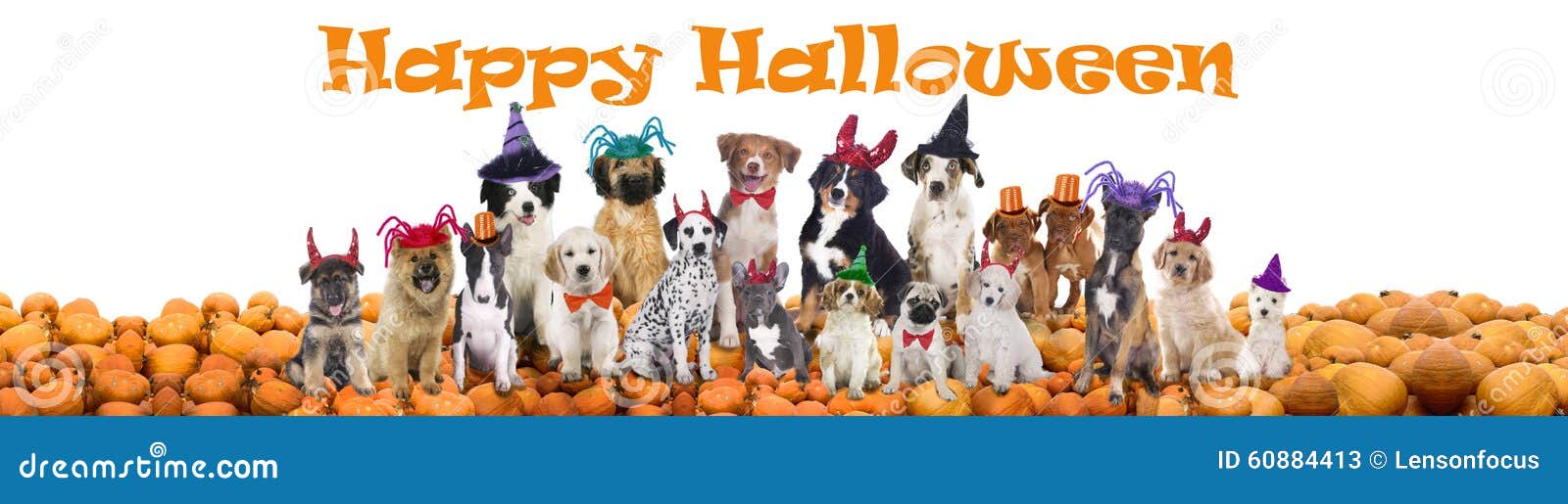Happy halloween dogs stock image. Image of isolated, pups - 60884413
