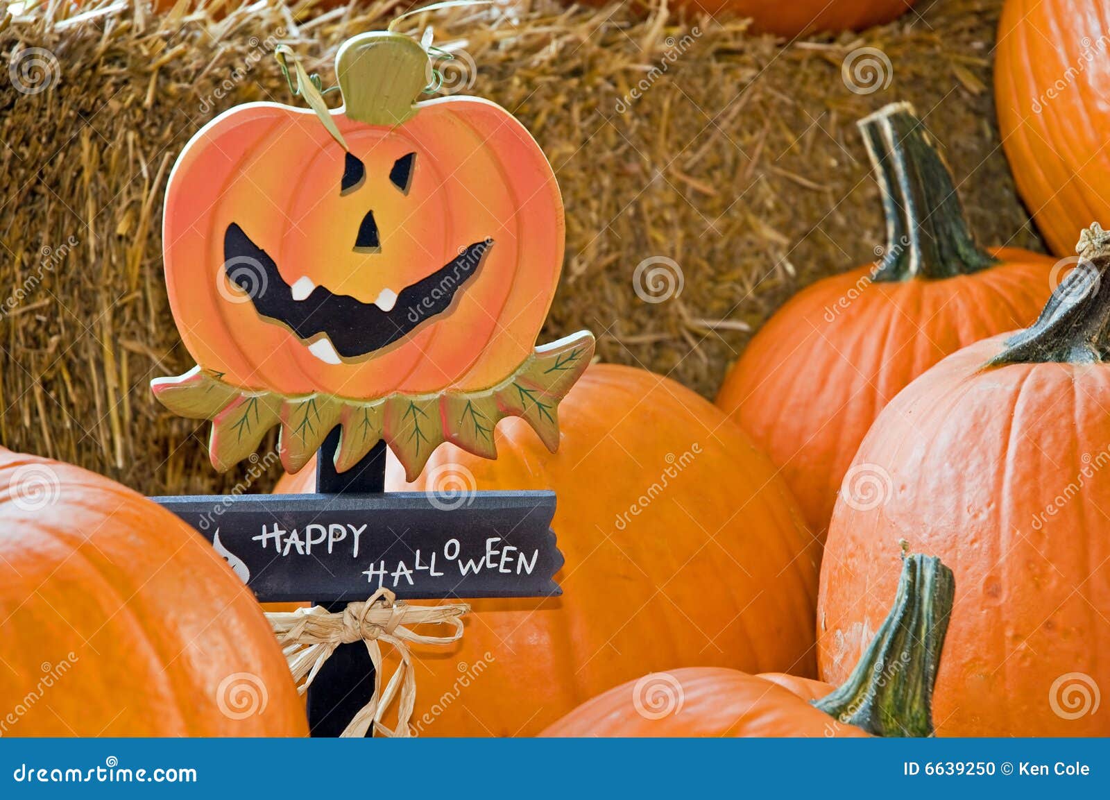 Happy Halloween pumpkins stock photo. Image of fresh, yellow - 6639250