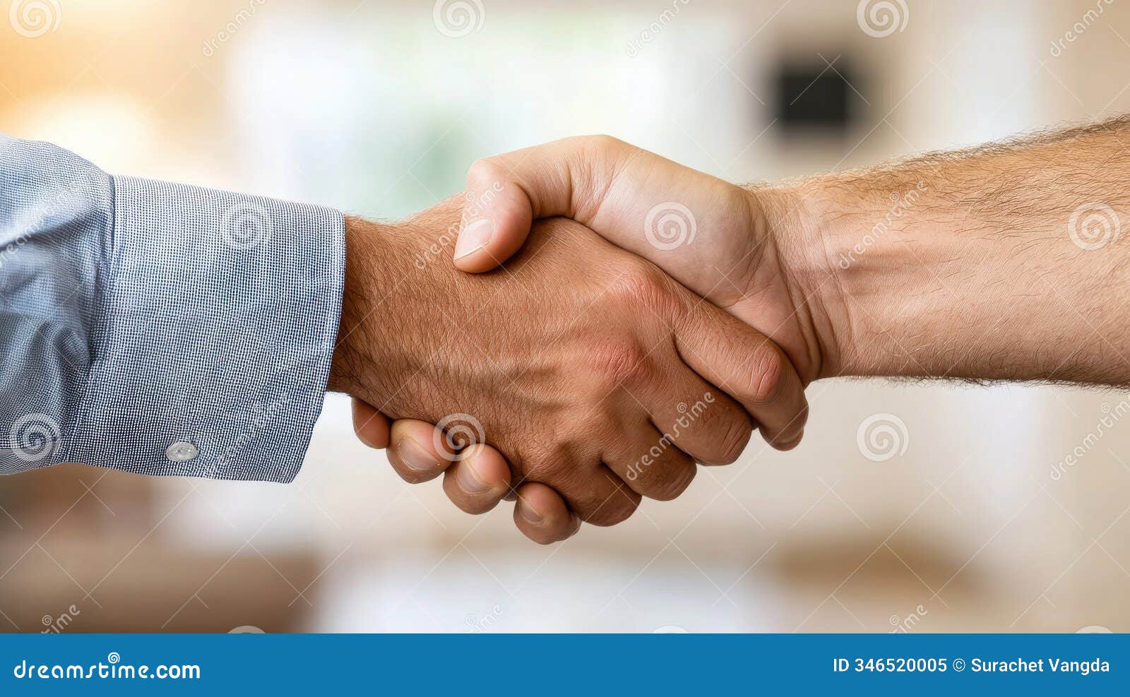 Happy Handshake for Property Purchase Approval Stock Illustration ...