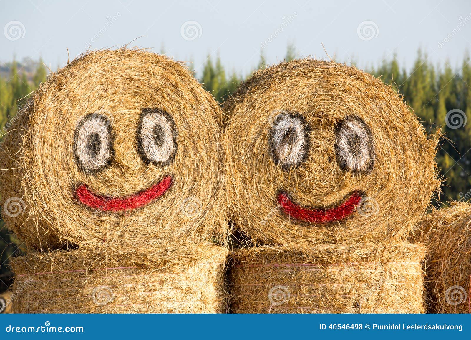 Happy hay face stock photo. Image of grass, food, outdoor - 40546498