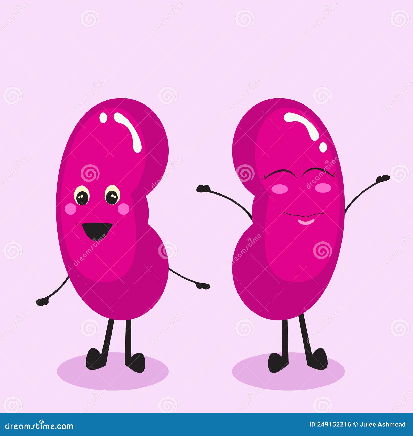 Kidneys Of Healthy Person. Internal Organs Cartoon Vector ...