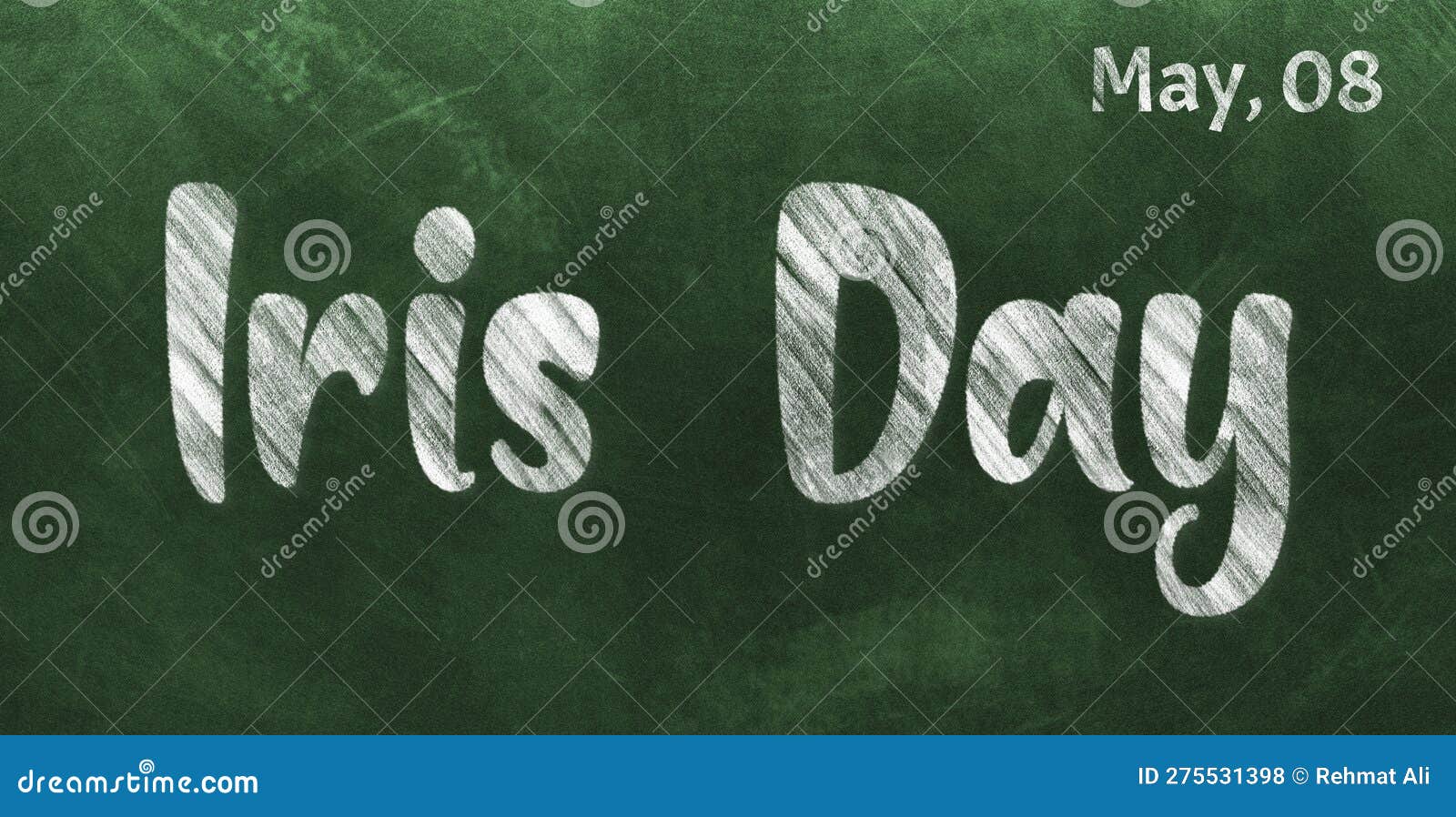 Happy Iris Day, May 08. Calendar of May Chalk Text Effect, Design Stock ...
