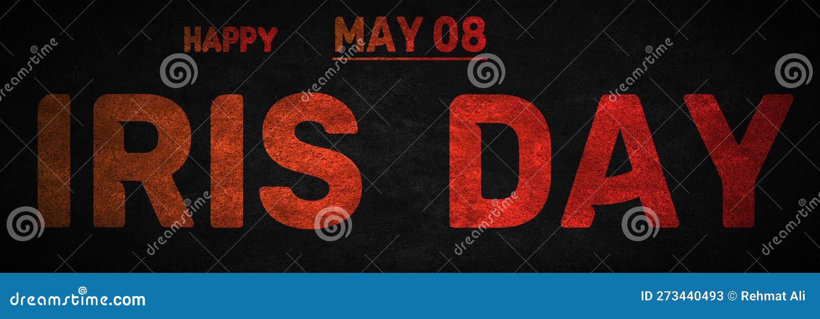 Happy Iris Day, May 08. Calendar of May Text Effect, Design Stock ...