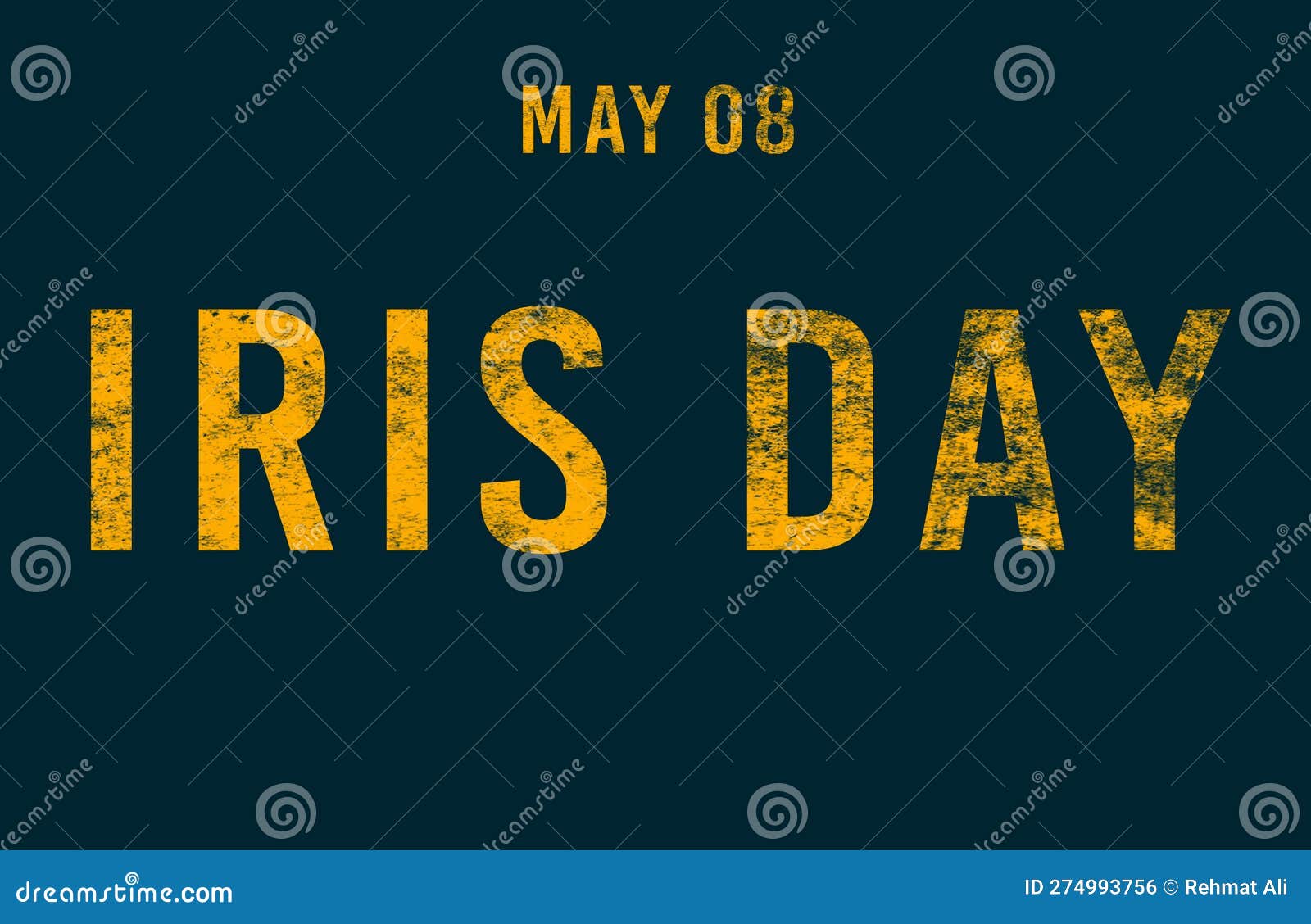 Happy Iris Day, May 08. Calendar of May Text Effect, Design Stock ...