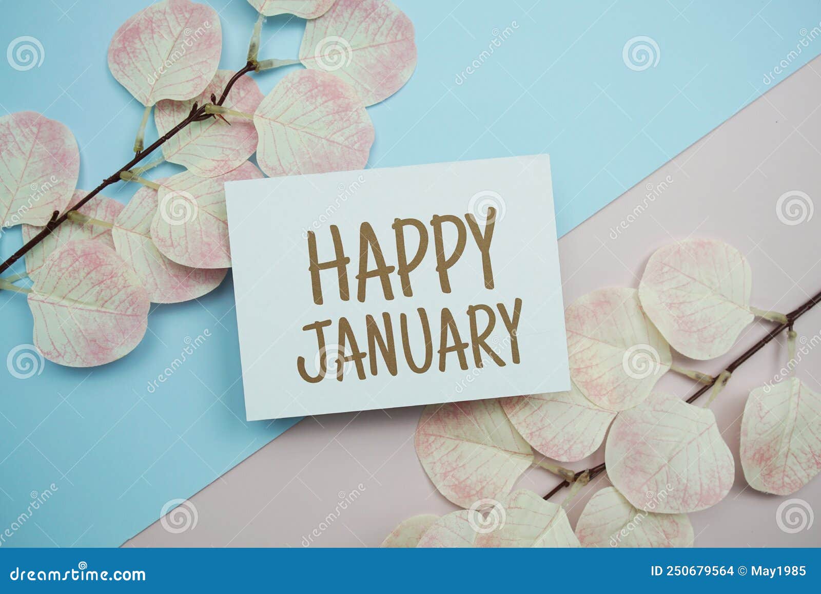 Happy January Text Message with Artificial Leave on Blue and Pink ...