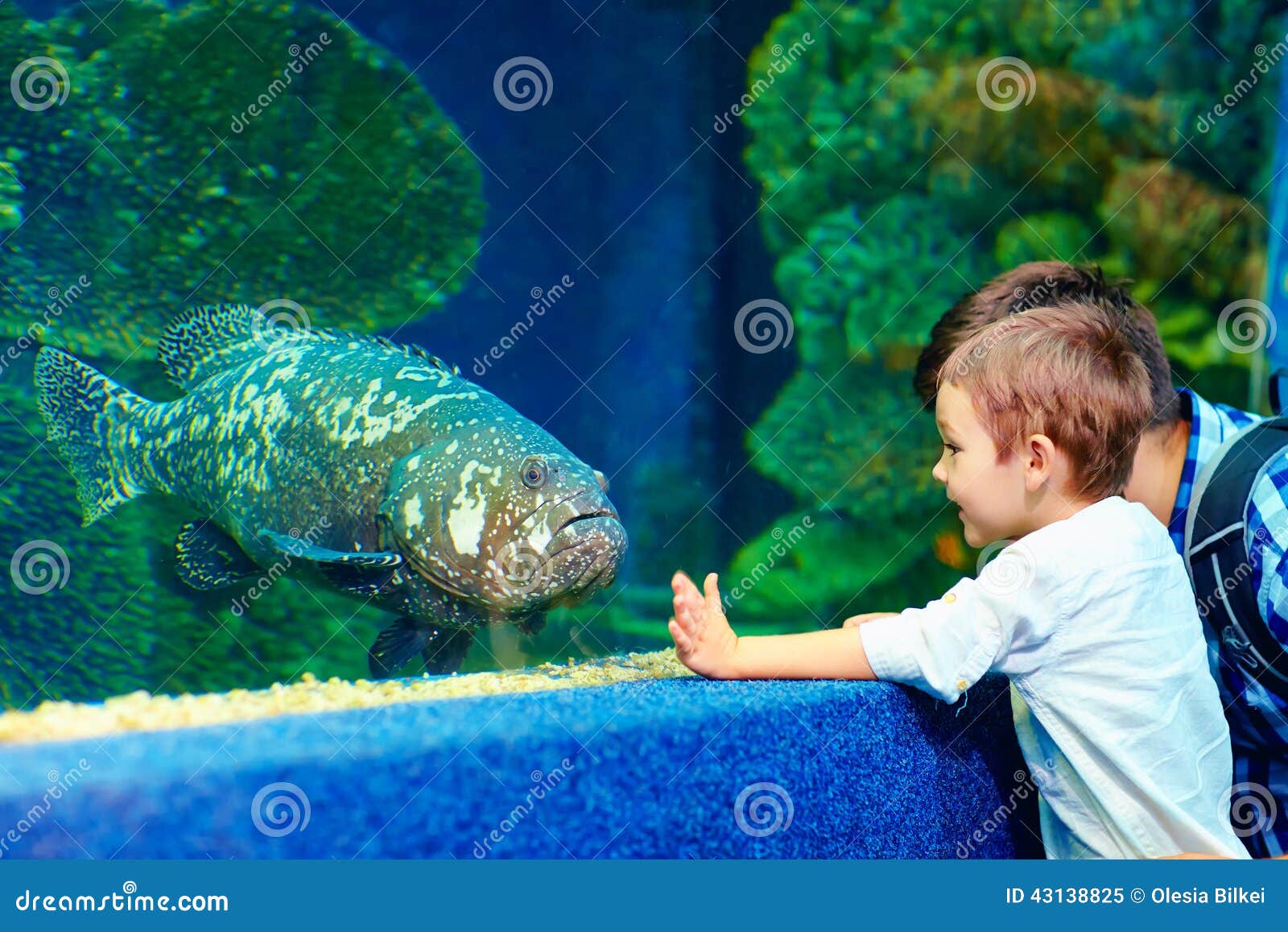 Happy Kid Communicating with Fish in Oceanarium Stock Image - Image of ...