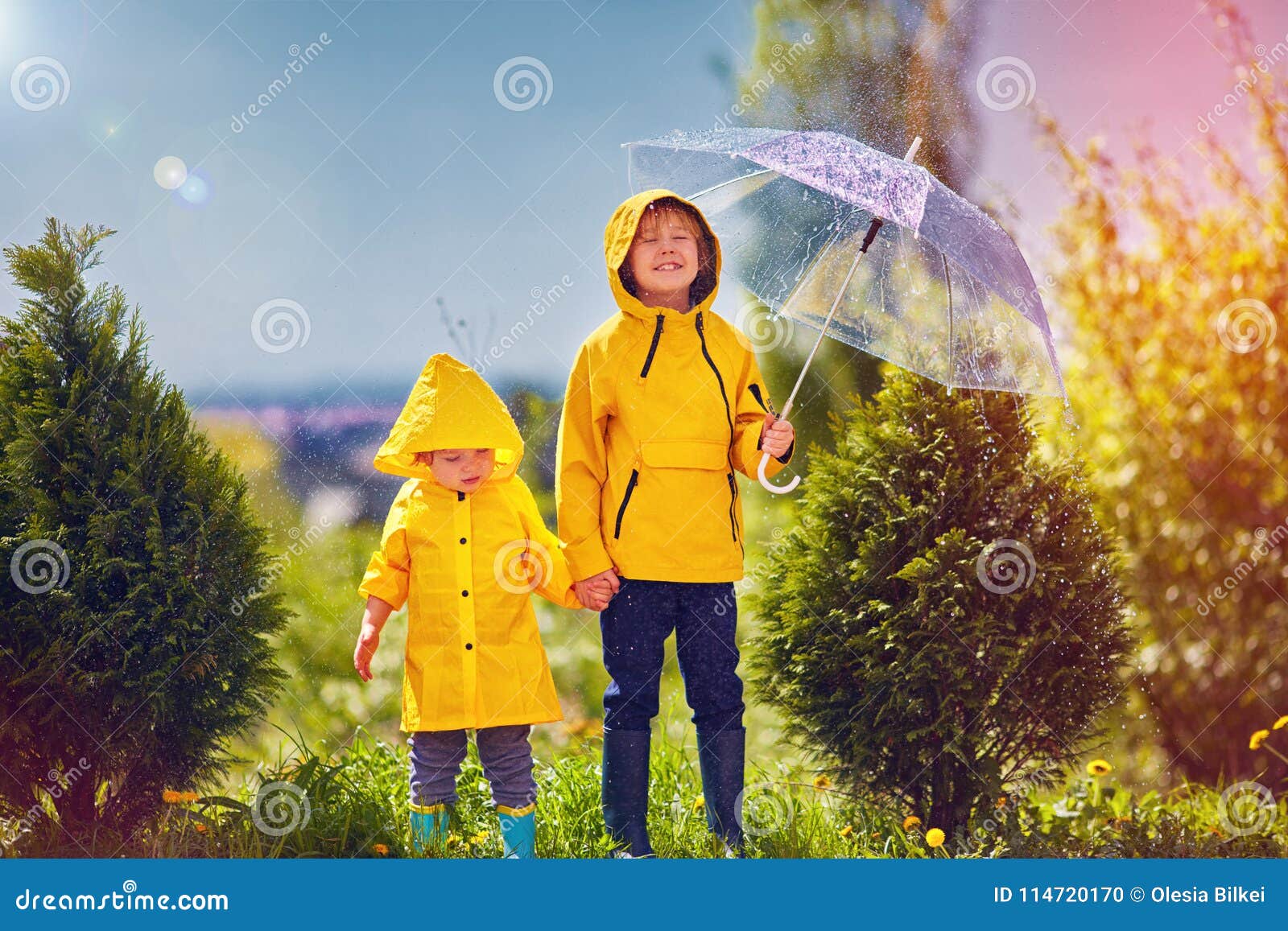 Happy Kids, Brother Having Fun Under the Spring Sunny Rain Stock Photo ...