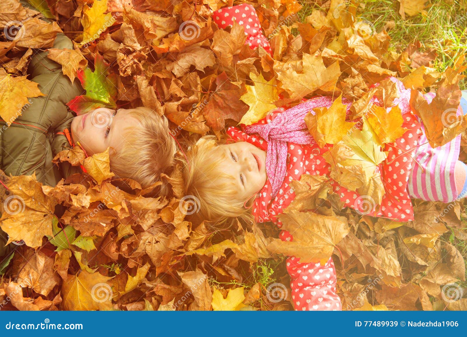 Happy Kids Having Fun in Autumn Fall Leaves Stock Image - Image of ...