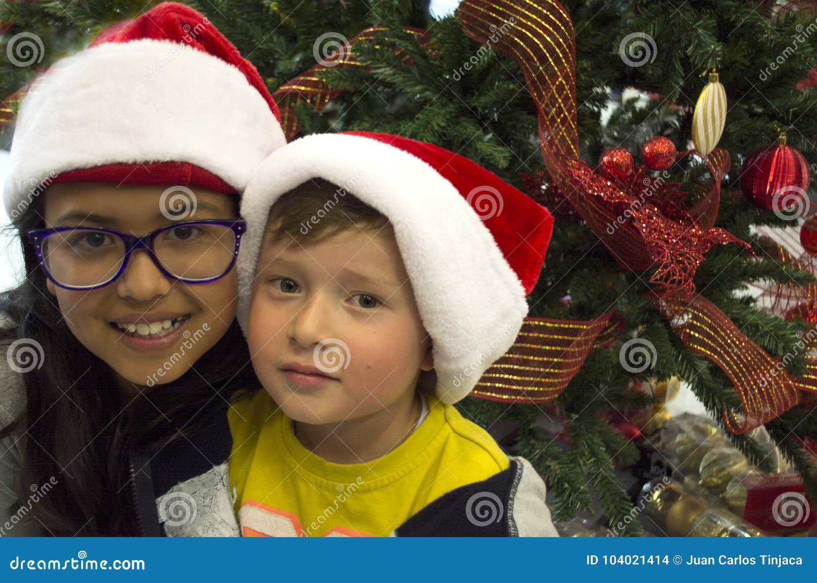 Happy Kids Laying Under the Christmas Tree. Stock Photo - Image of ...