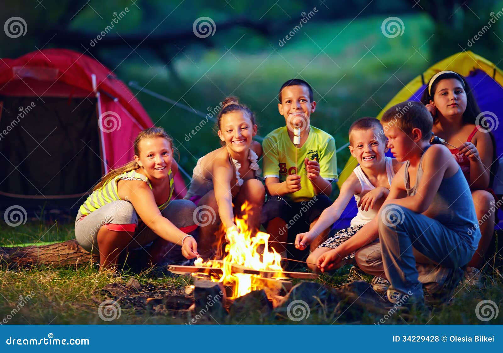Happy Kids Roasting Marshmallows on Campfire Stock Photo - Image of ...