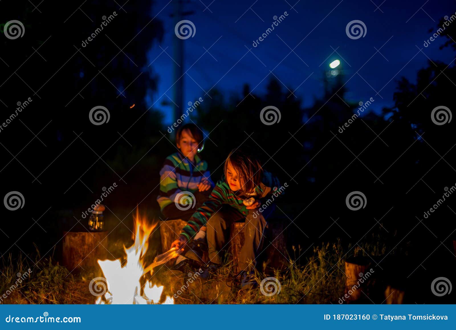 Happy Kids Roasting Sausages on Campfire Stock Photo - Image of ...