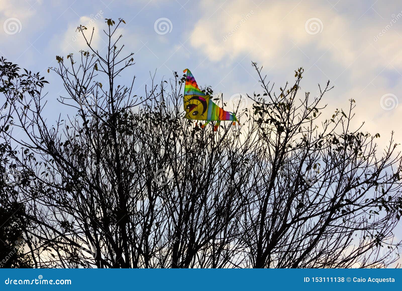 Happy kite stuck on tree stock photo. Image of park - 153111138