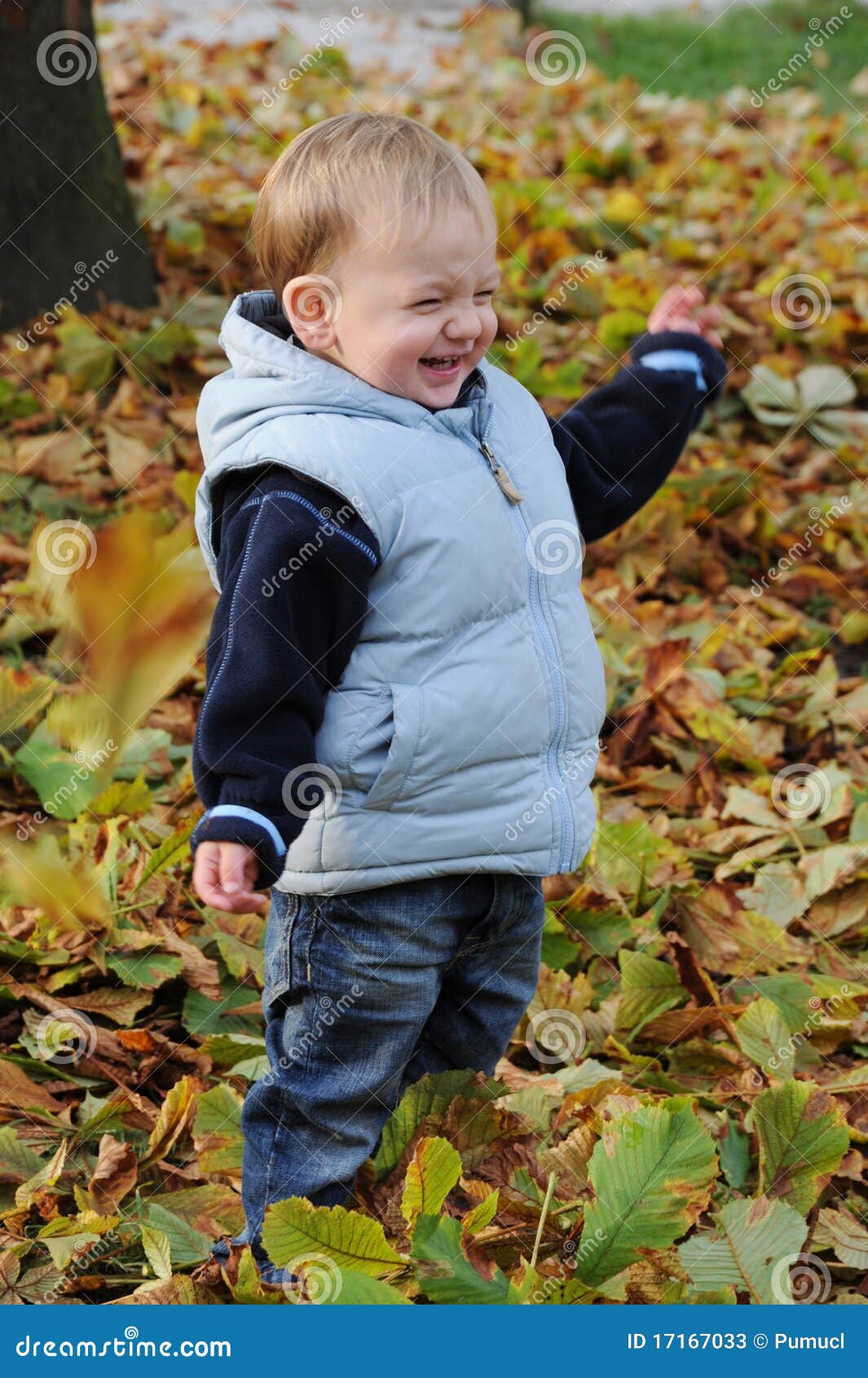 Happy laughing little boy stock image. Image of young - 17167033