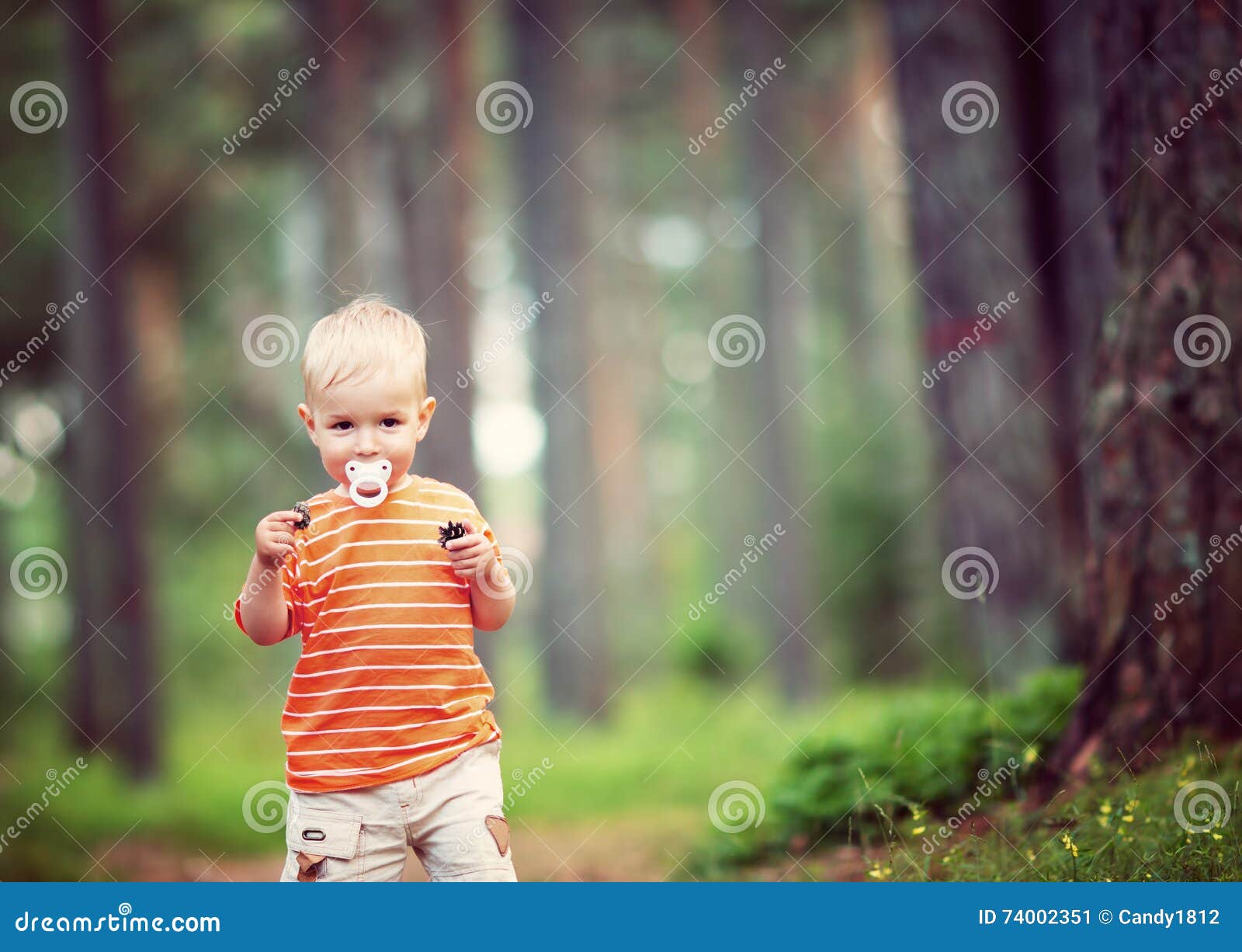 Happy Little Boy in the Forest Stock Image - Image of little, nature ...