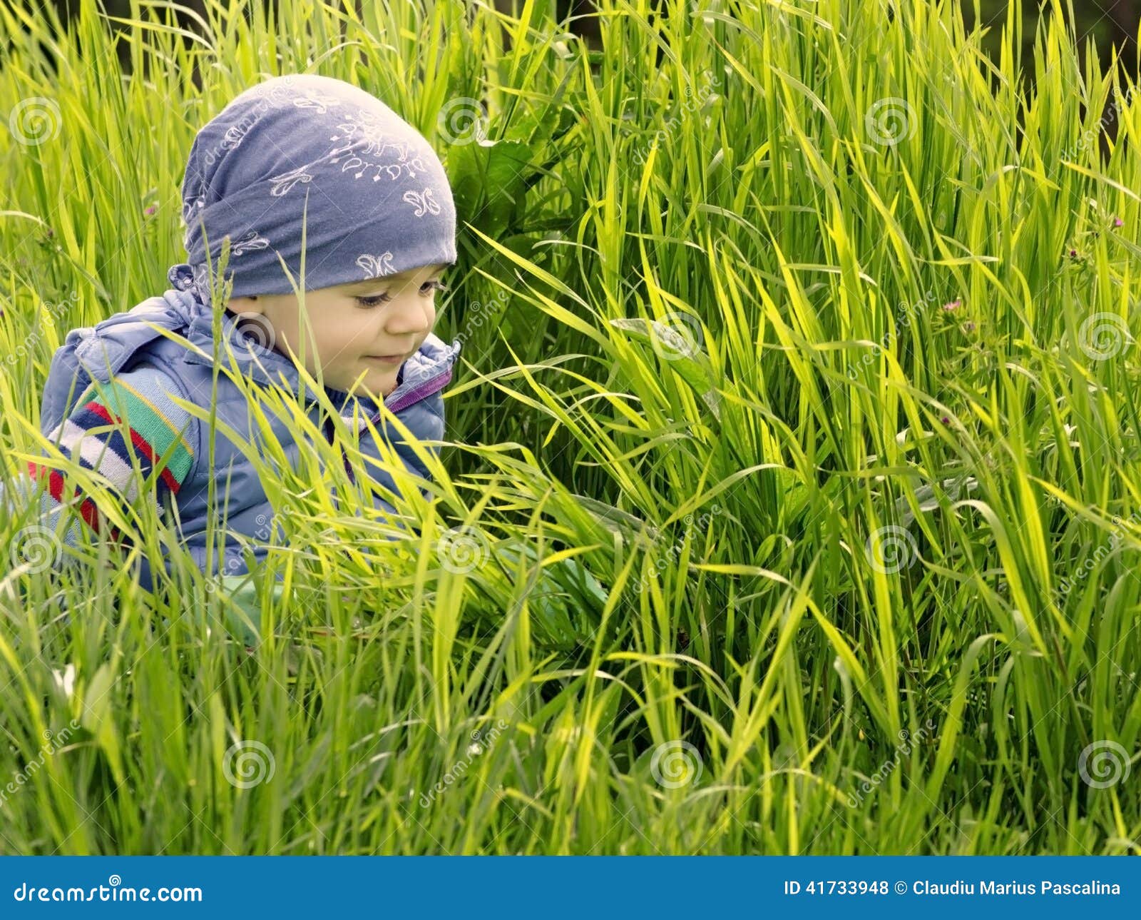 Happy Little Boy on Green Grass Stock Photo - Image of child, smiling ...