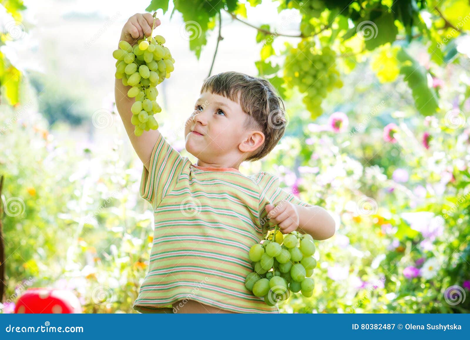 Happy Little Boy Holding a Bunch of Grapes Stock Image - Image of ...