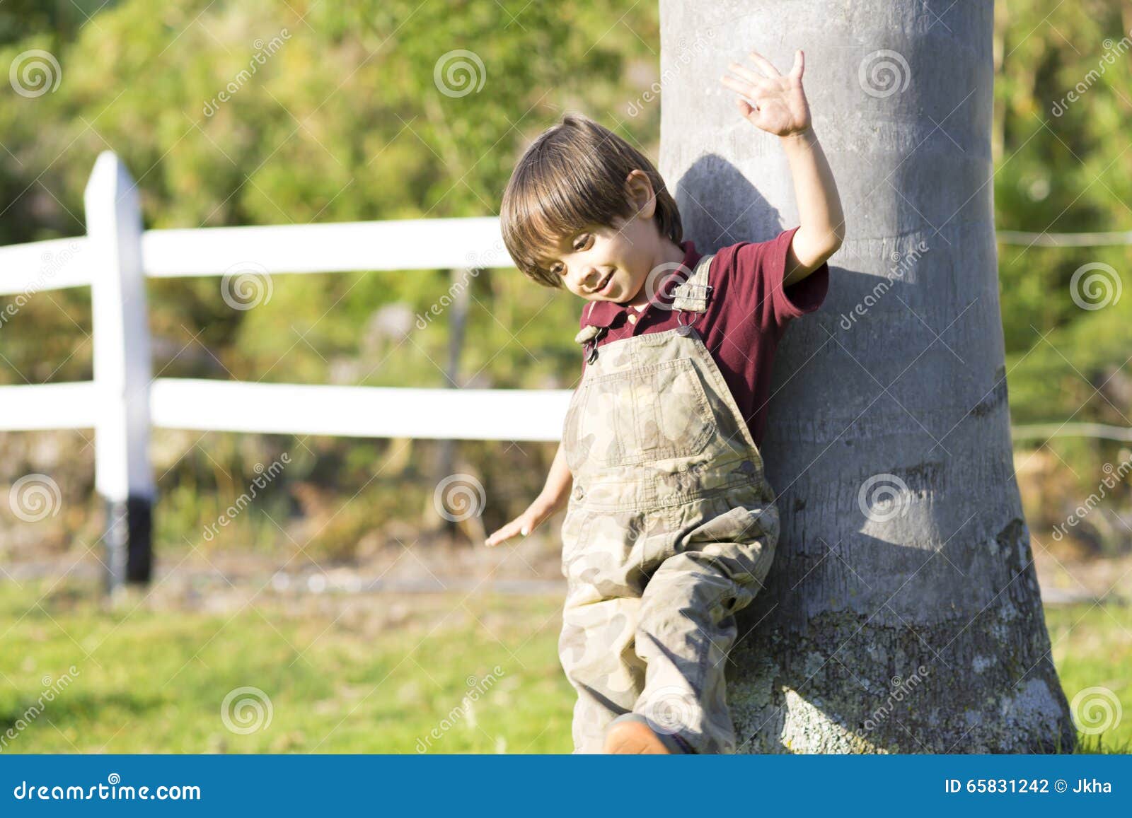 Happy Little Boy Playing a Tree Stock Photo - Image of environment ...