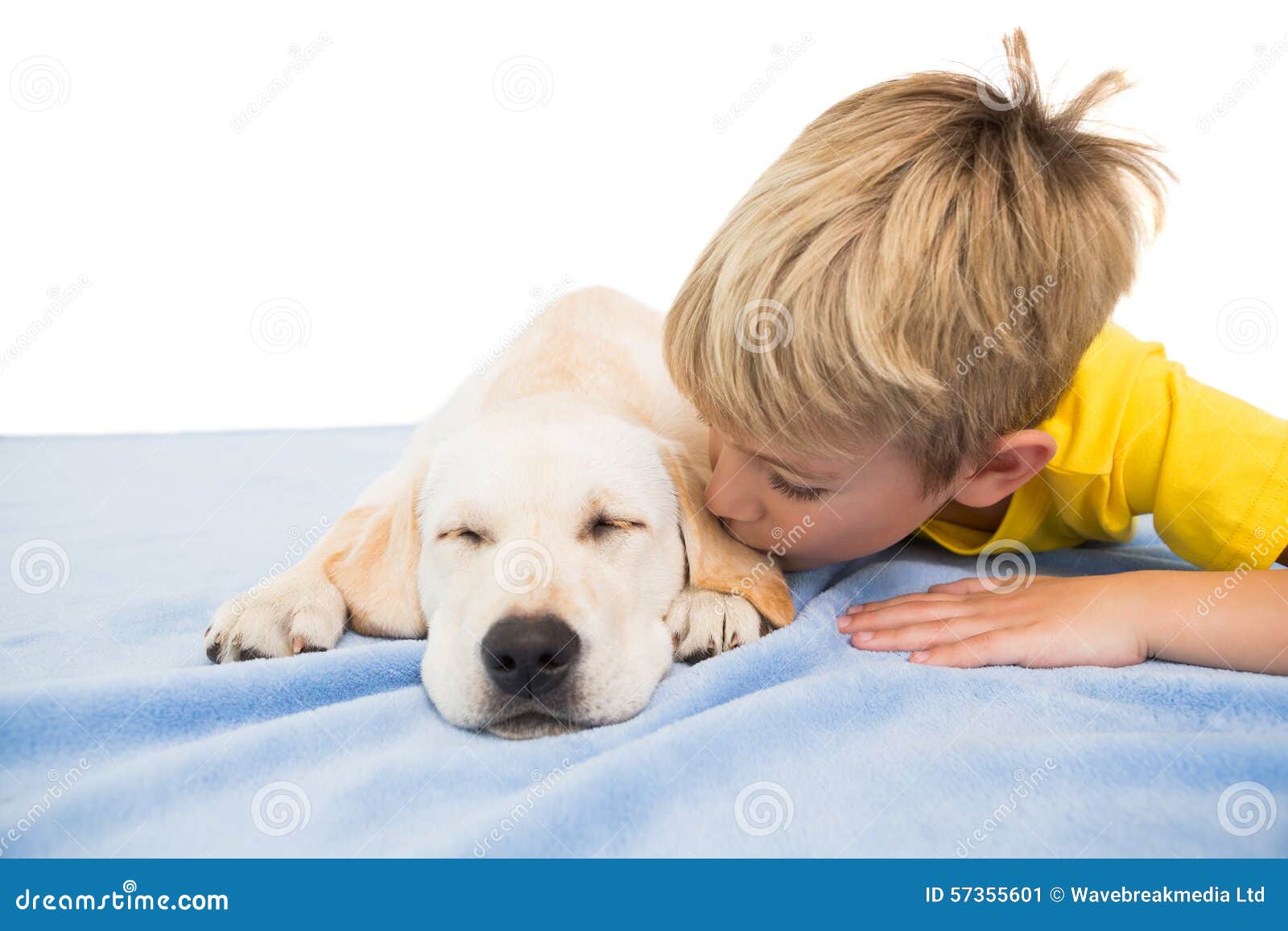 Happy Little Boy with Puppy Stock Image - Image of puppy, cheerful ...