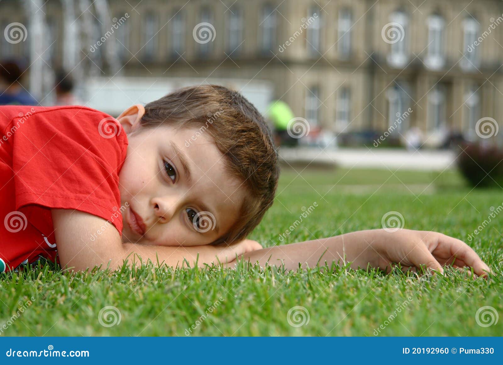 Happy Little Boy Relaxing on the Grass Stock Photo - Image of outdoor ...