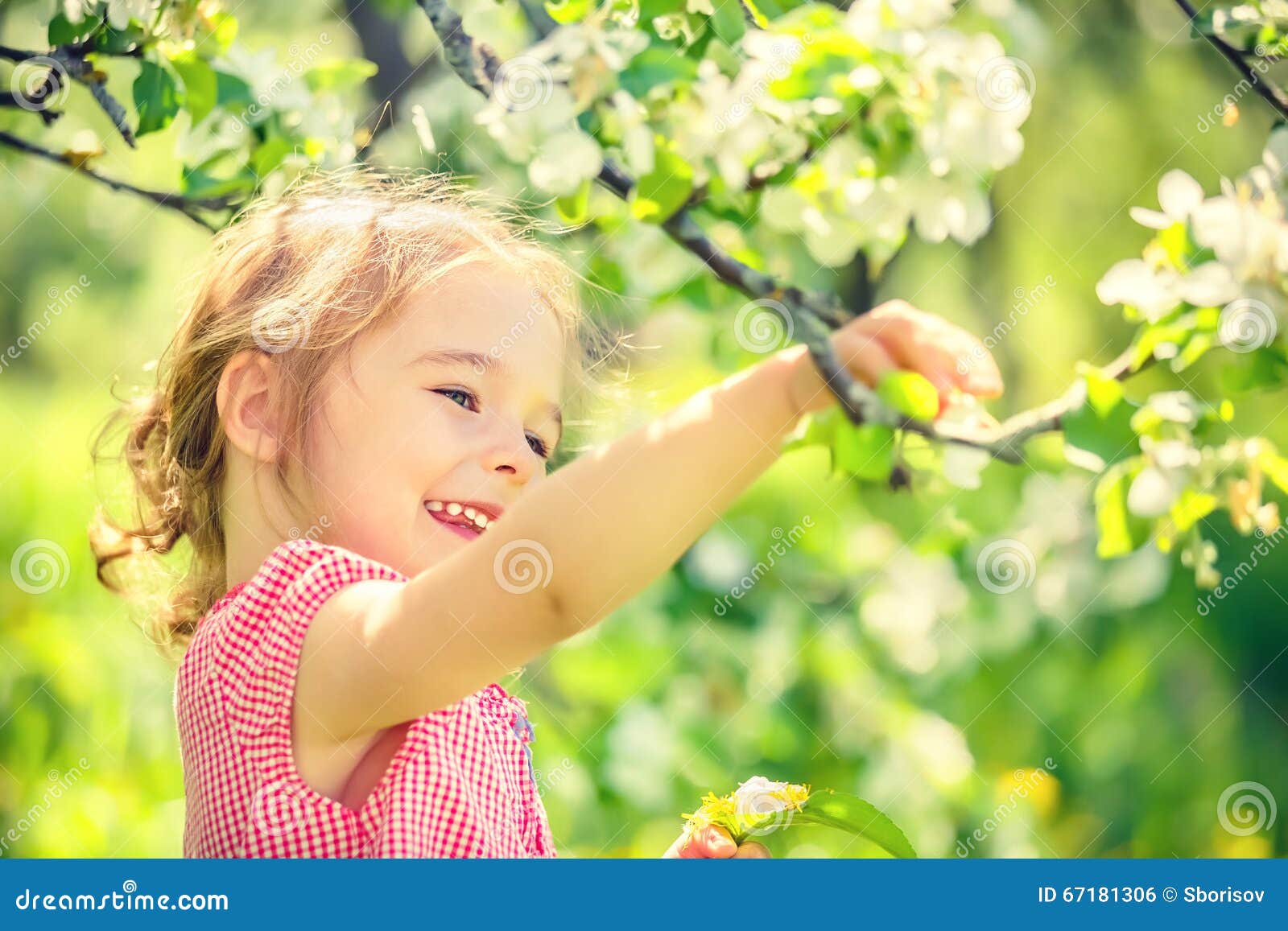 Happy Little Girl in Apple Tree Garden Stock Photo - Image of girl ...