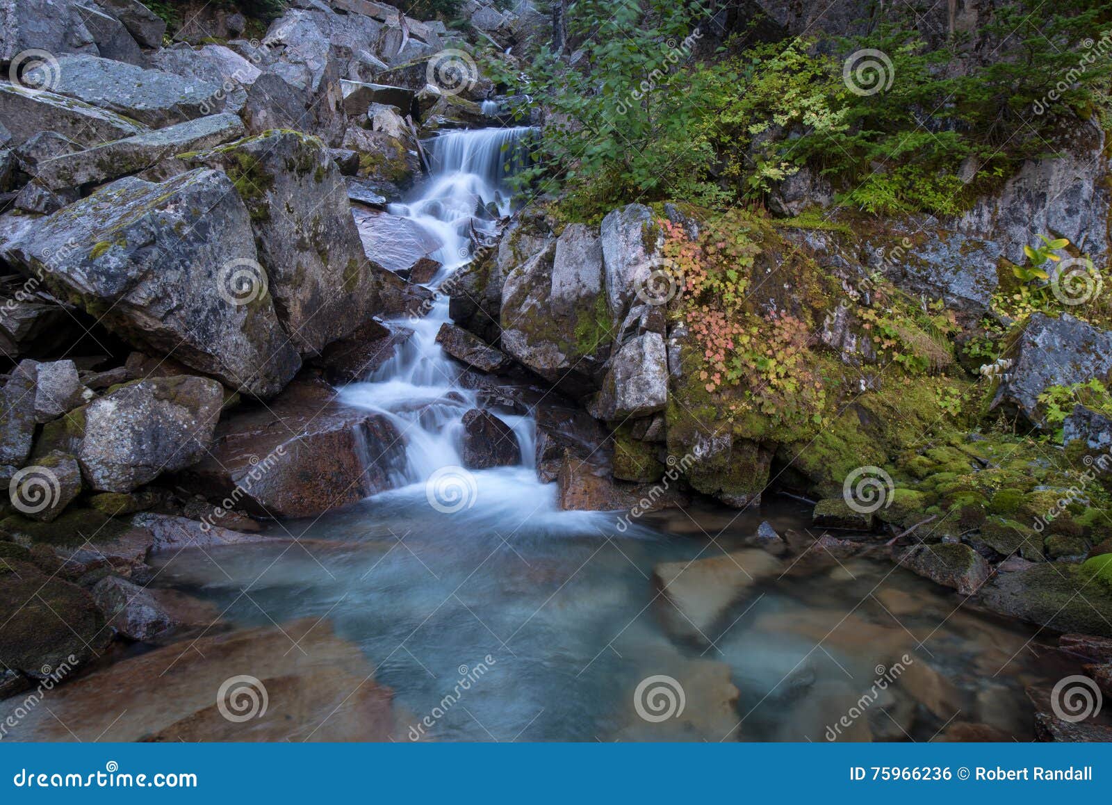 Happy little stream stock photo. Image of waterfall, flowing - 75966236