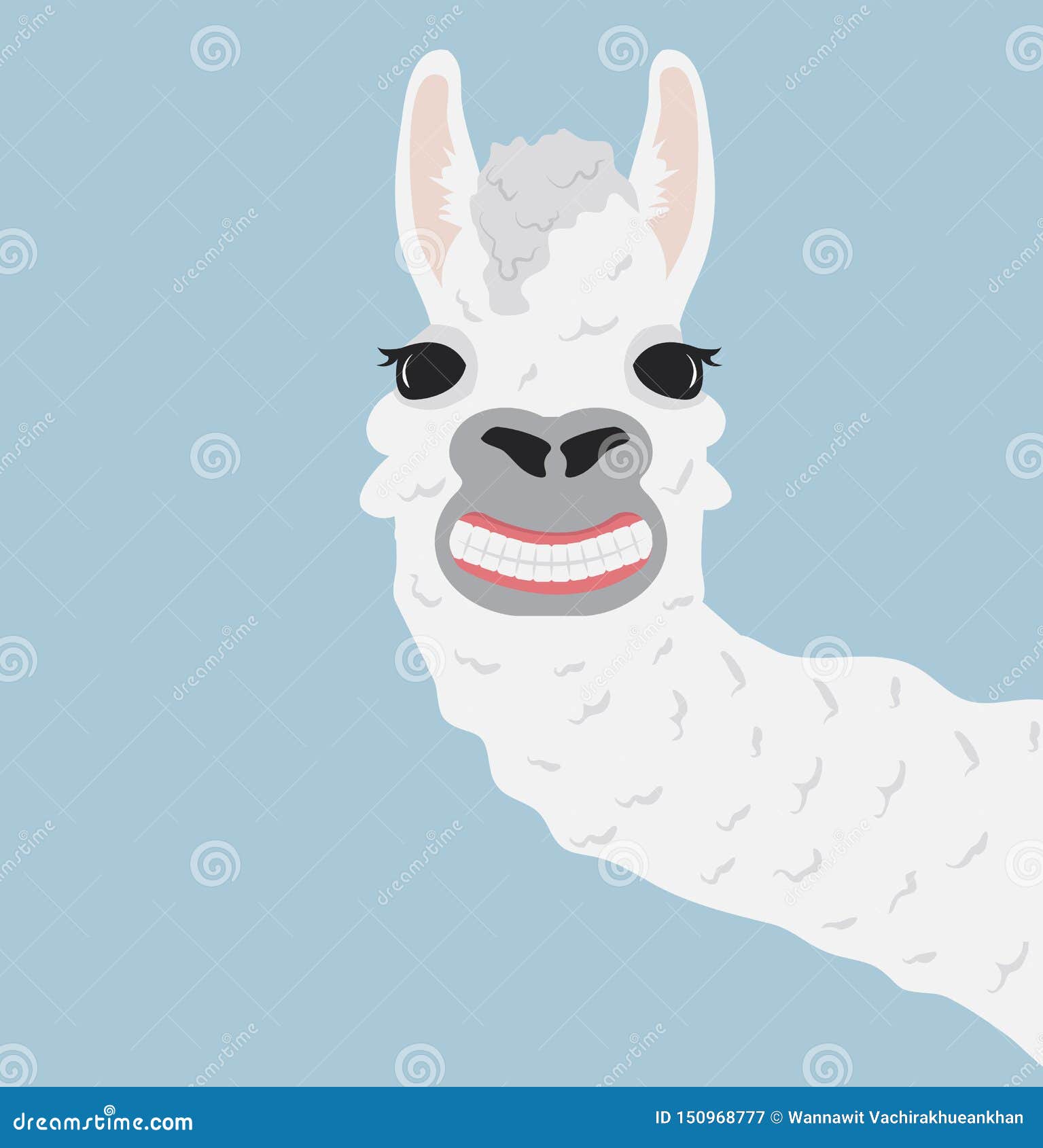 Happy Llama Smile Vector Illustration Stock Vector - Illustration of ...