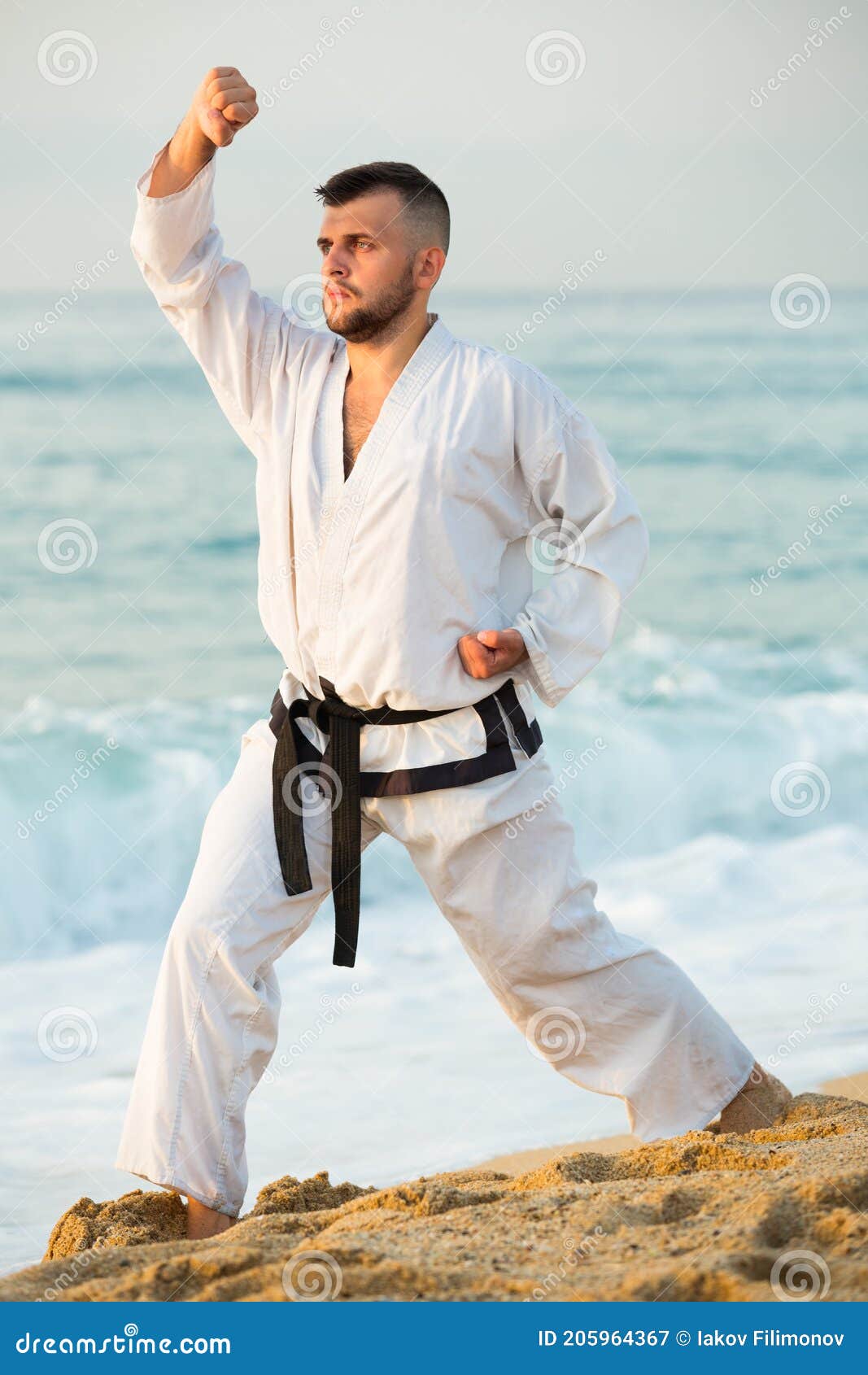 Happy Male Practising Karate Kata Poses Stock Image - Image of japanese ...