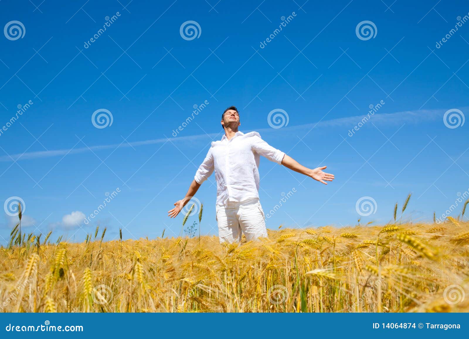 Happy man stock photo. Image of arms, carefree, hands - 14064874