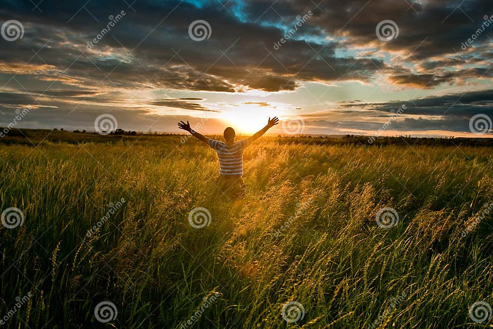 Happy man in filed stock photo. Image of blue, hand, people - 11241344