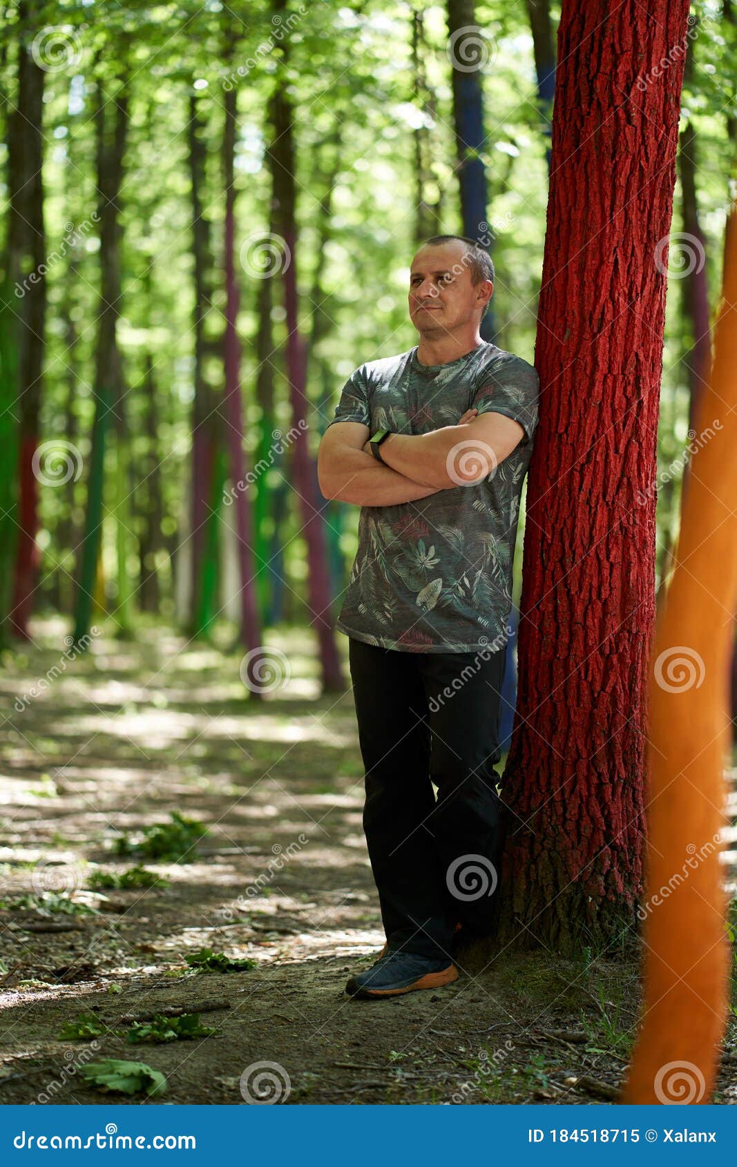 Happy man in the forest stock image. Image of portrait - 184518715