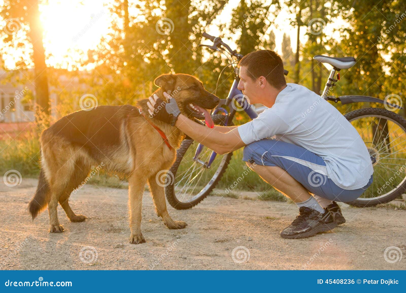 Happy Man with a German Shepherd Dog in the Park Stock Photo - Image of ...