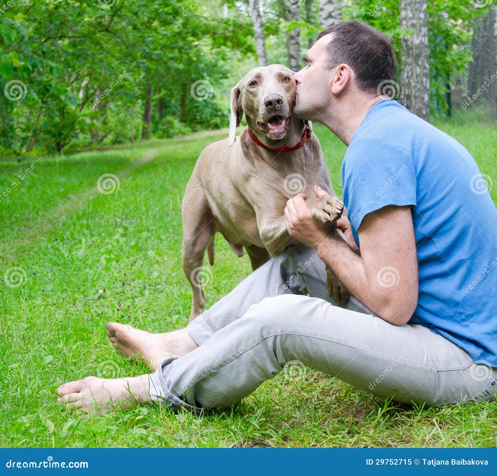 Happy Man and His Dog in Summer Stock Image - Image of happiness ...