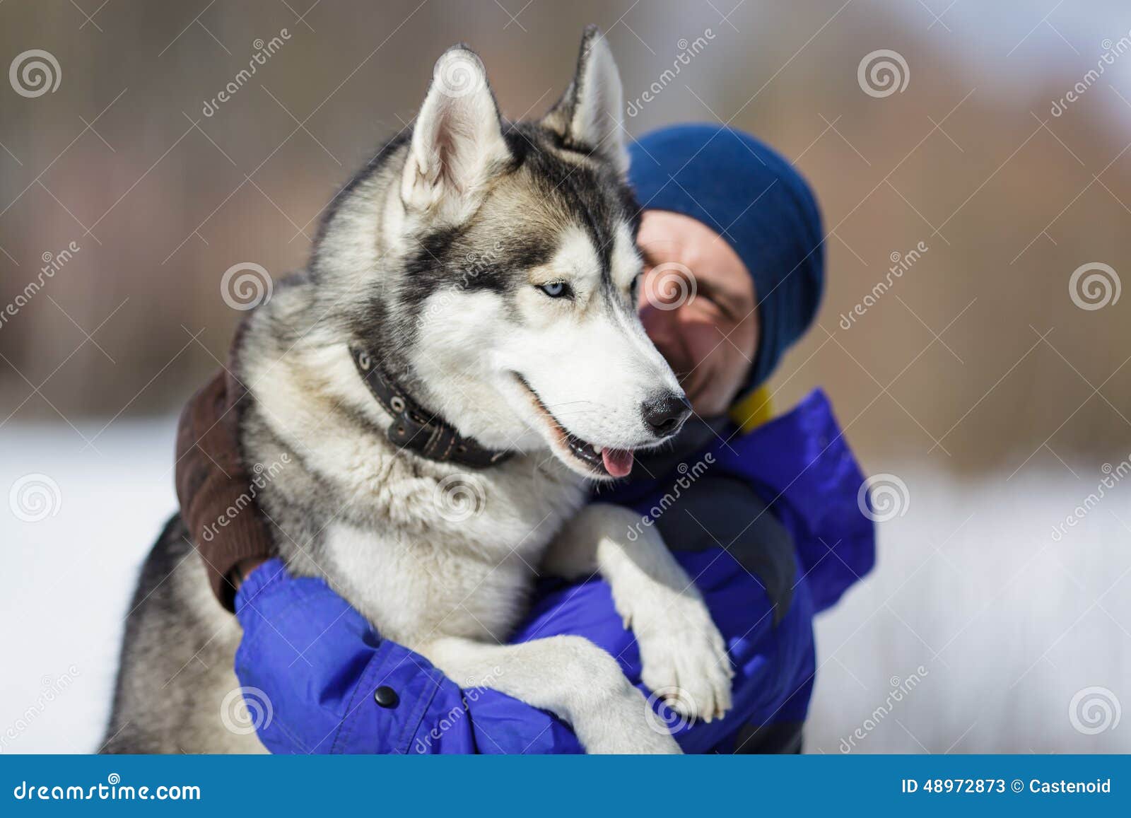 Happy man with a husky stock image. Image of black, mammal - 48972873