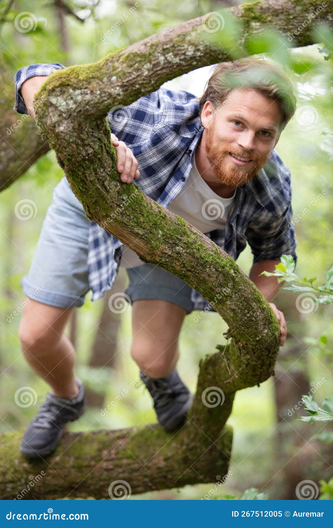 Happy Man Leaning Against Tree Stock Image - Image of care, green ...