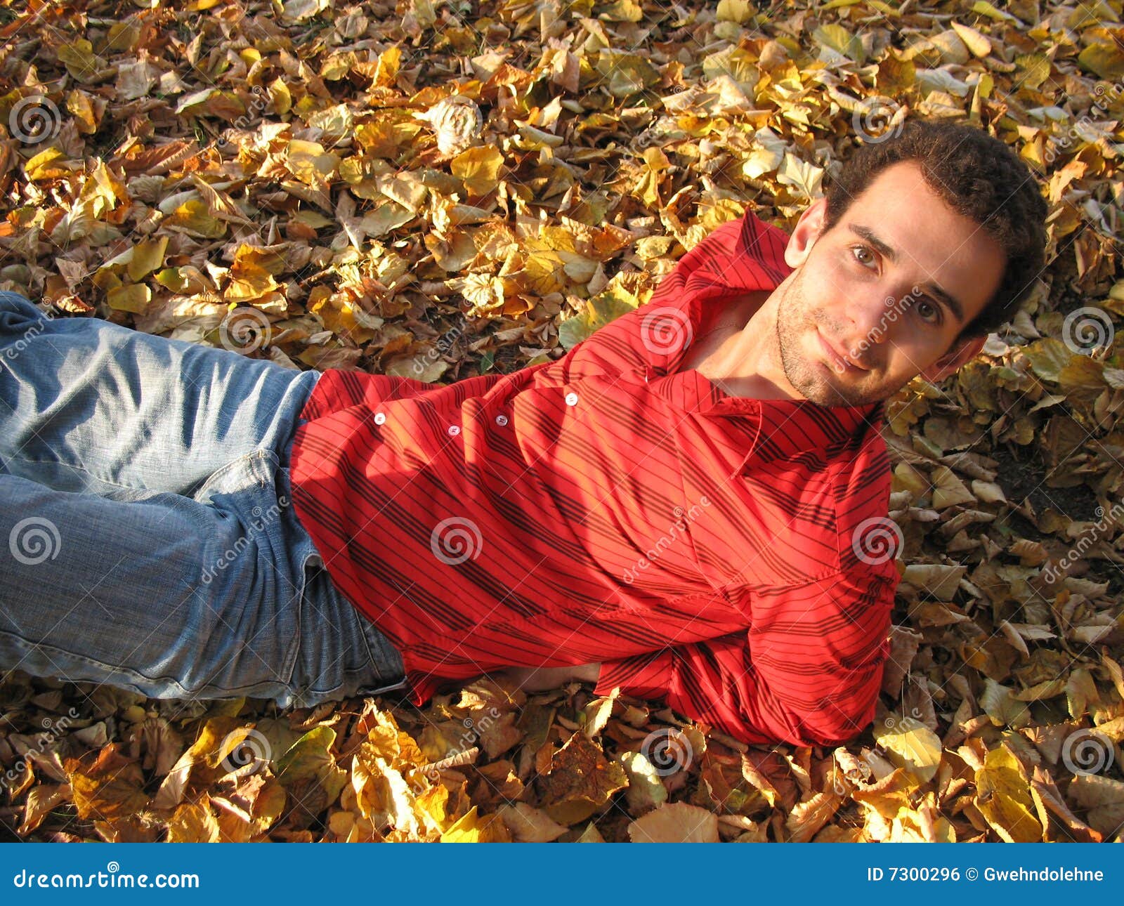Happy Man on Leaves stock photo. Image of ground, jeans - 7300296