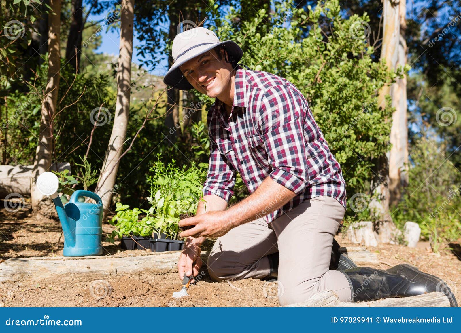 Happy Man Planting Sapling in Garden Stock Image - Image of casual ...