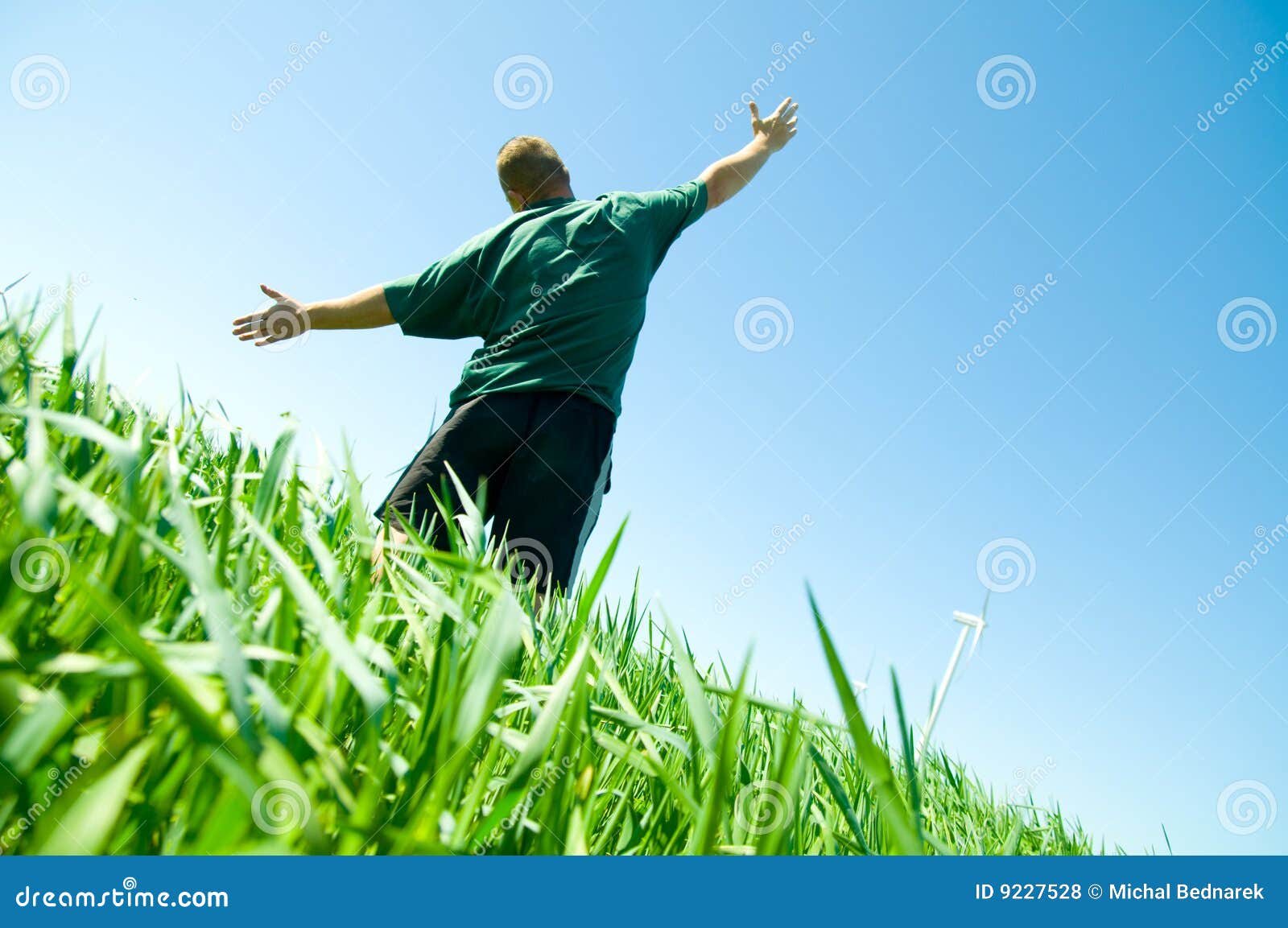Happy Man on the Summer Field Stock Photo - Image of energy, casual ...