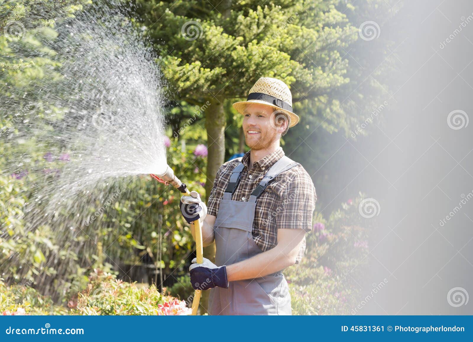 Happy Man Watering Plants at Garden Stock Image - Image of gardening ...