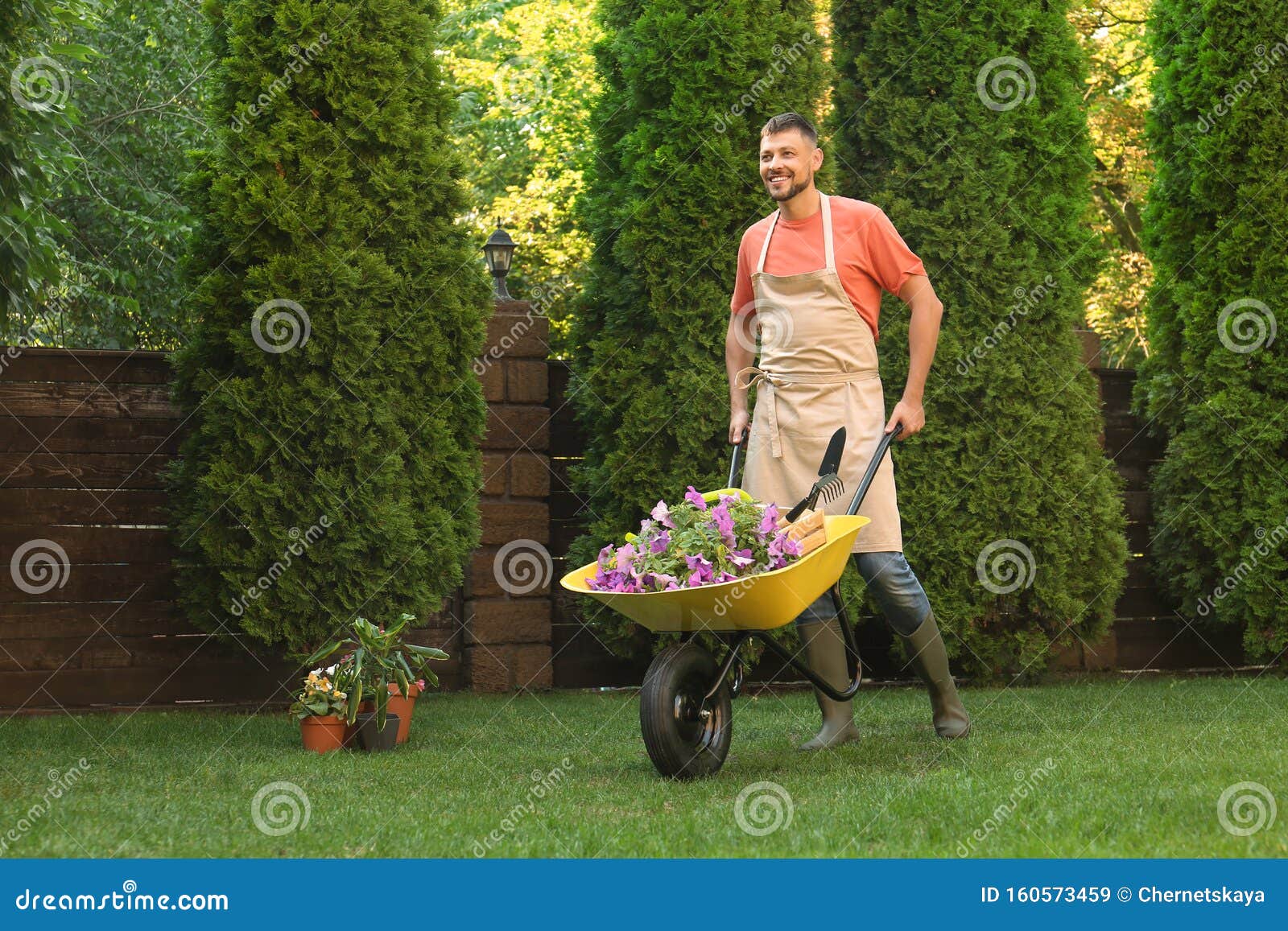 Happy Man with Wheelbarrow Working Stock Image - Image of length ...