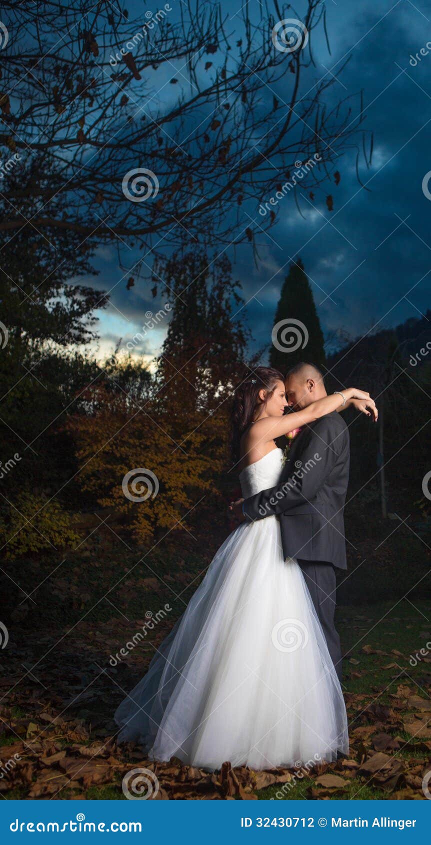 Happy Married Couple stock photo. Image of bright, loving - 32430712